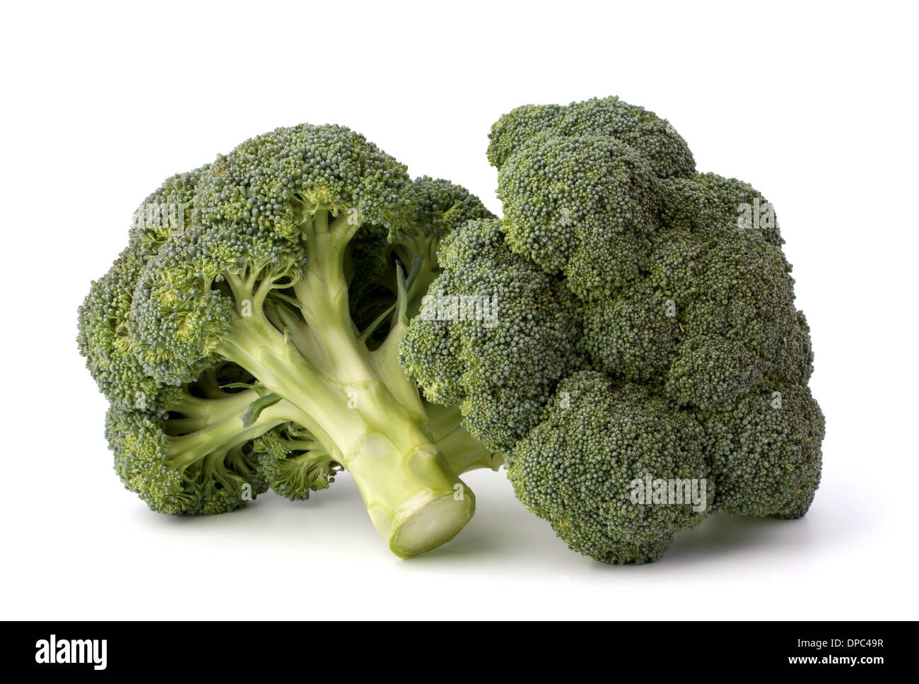 Broccoli vegetable isolated on white background Stock Photo - Alamy