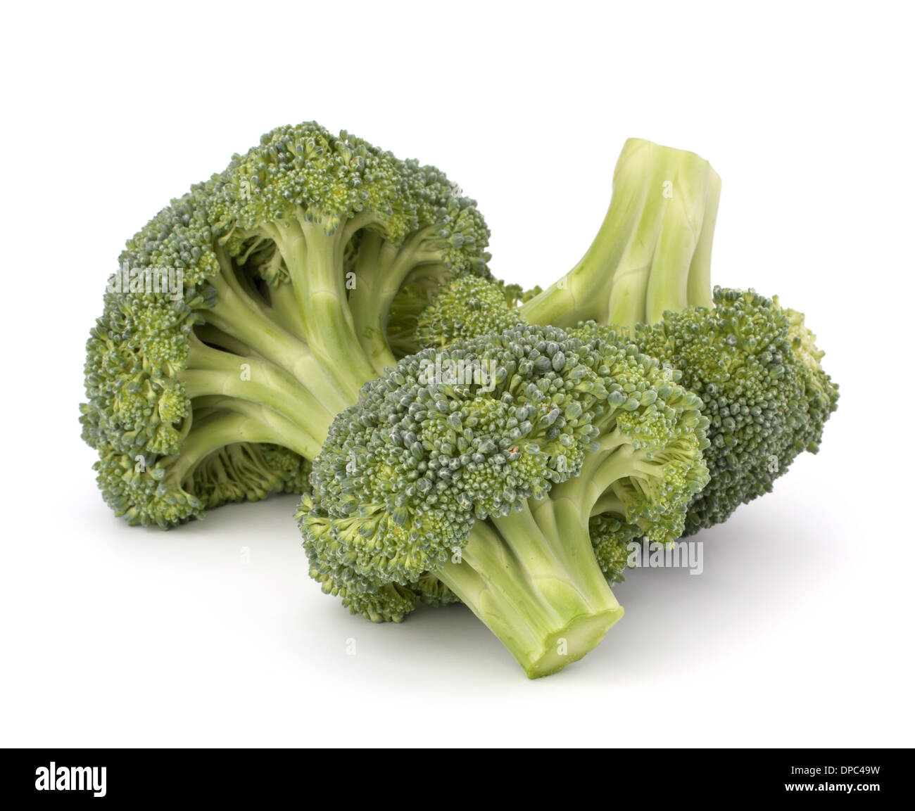 Broccoli vegetable isolated on white background Stock Photo - Alamy