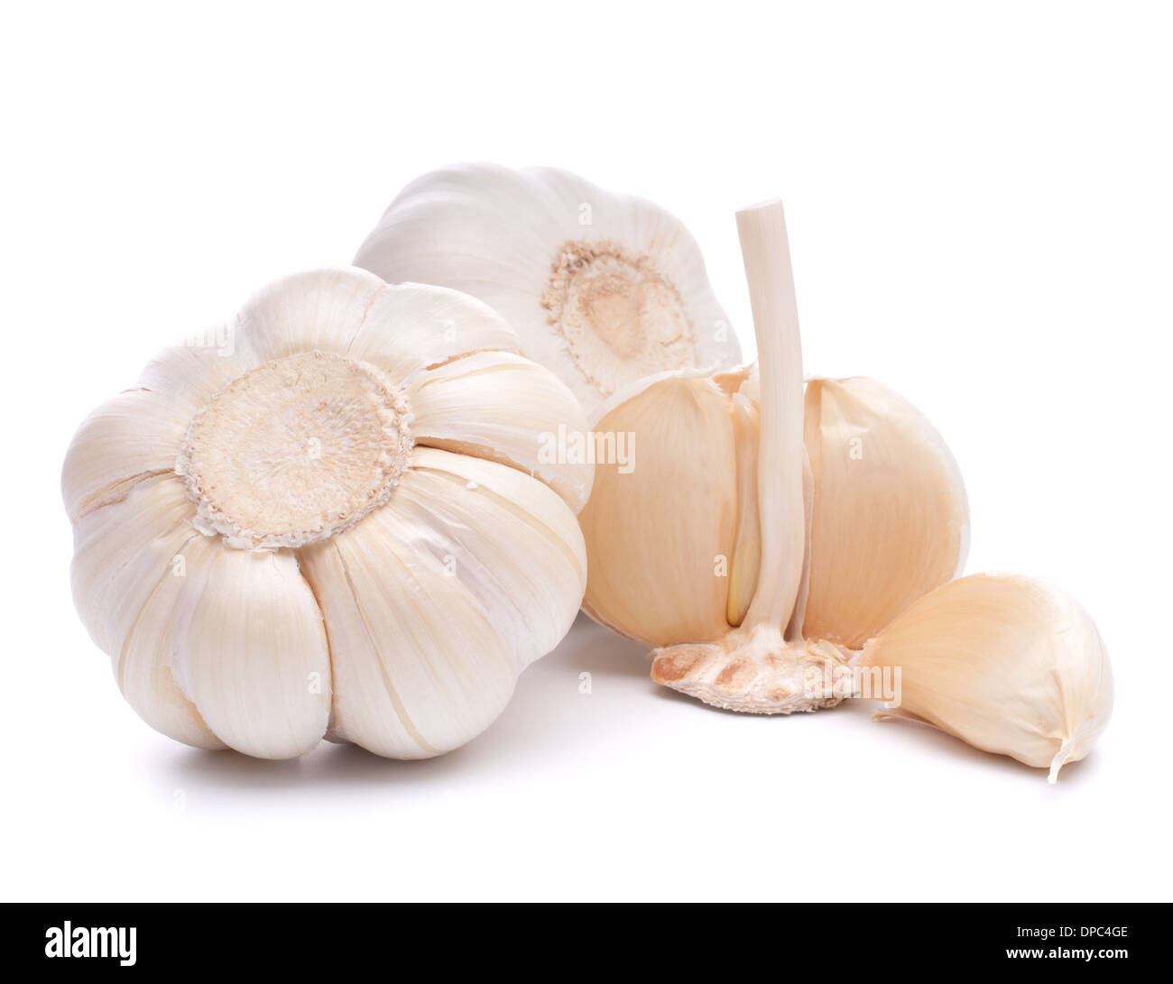 garlic bulb isolated on white background cutout Stock Photo - Alamy