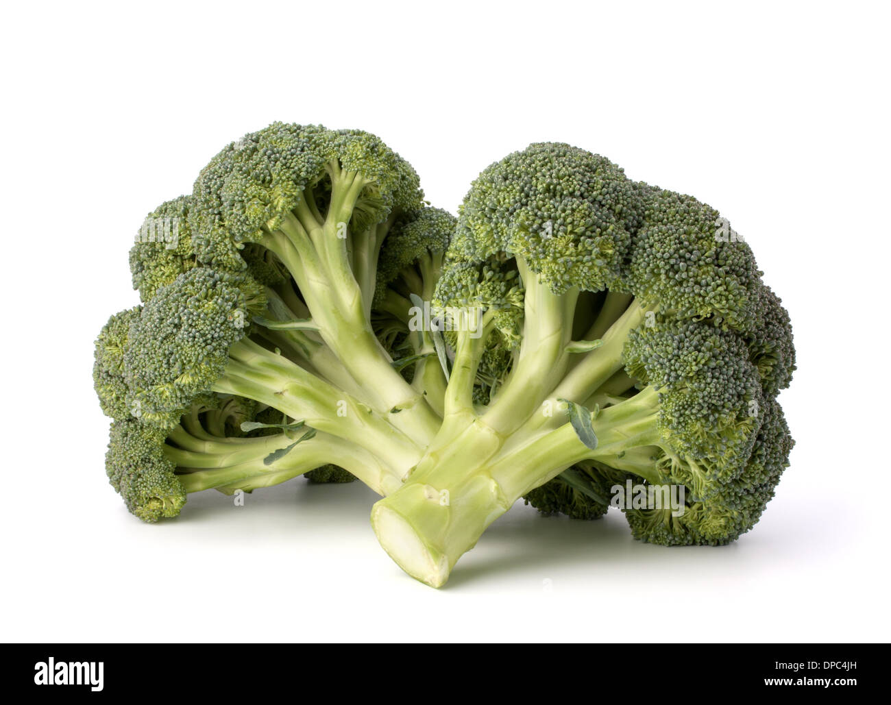 Broccoli vegetable isolated on white background Stock Photo - Alamy