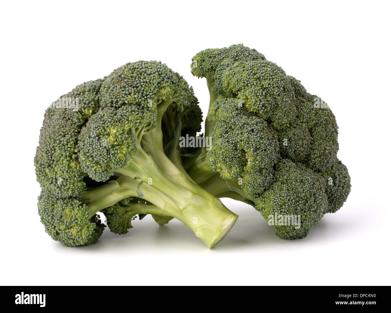 Broccoli vegetable isolated on white background Stock Photo - Alamy