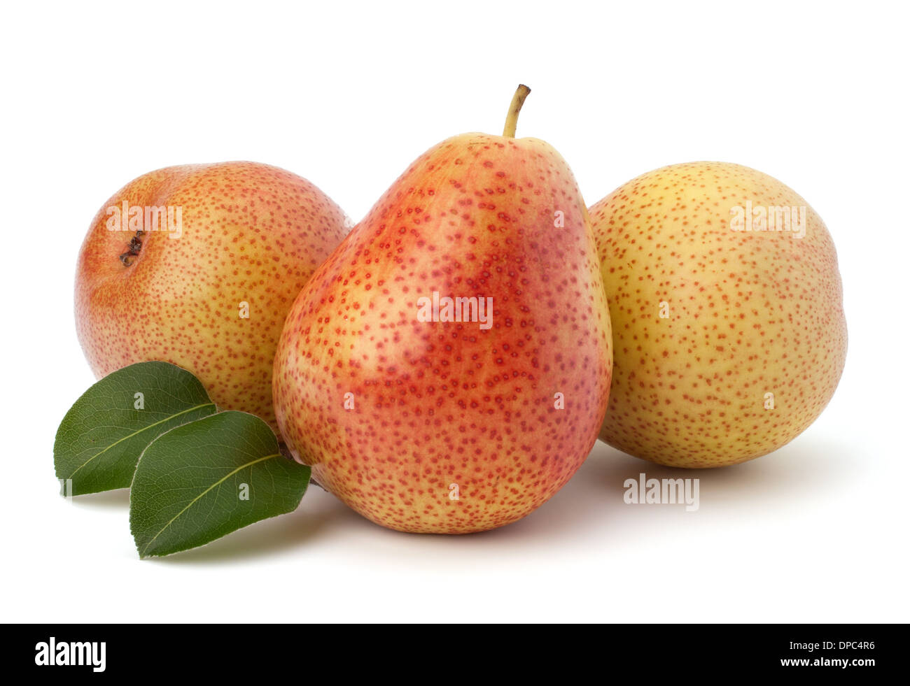 Pear fruits isolated on white background Stock Photo - Alamy