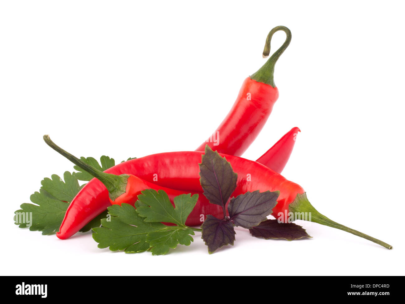 Hot red chili or chilli pepper and aromatic herbs leaves still life ...