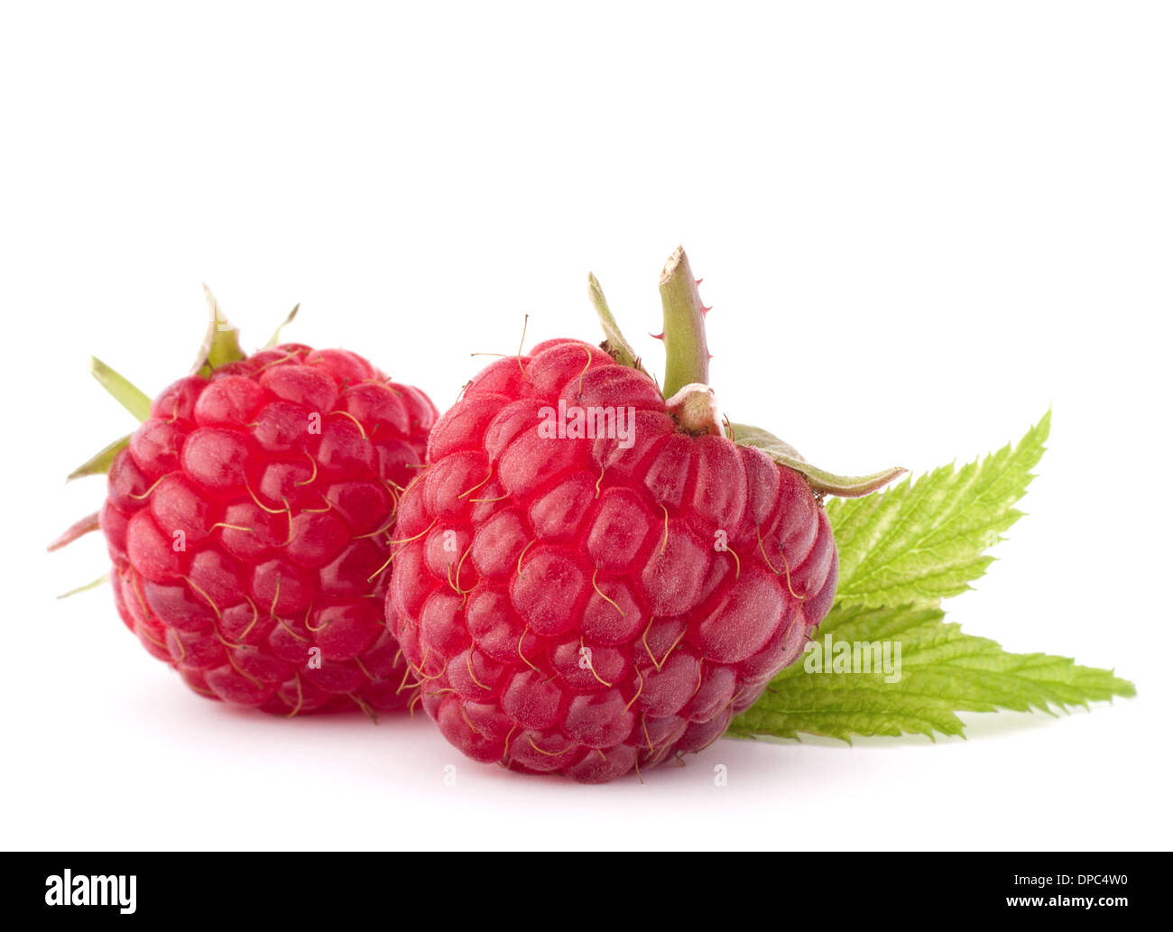 Ripe raspberries isolated on white background cutout Stock Photo - Alamy