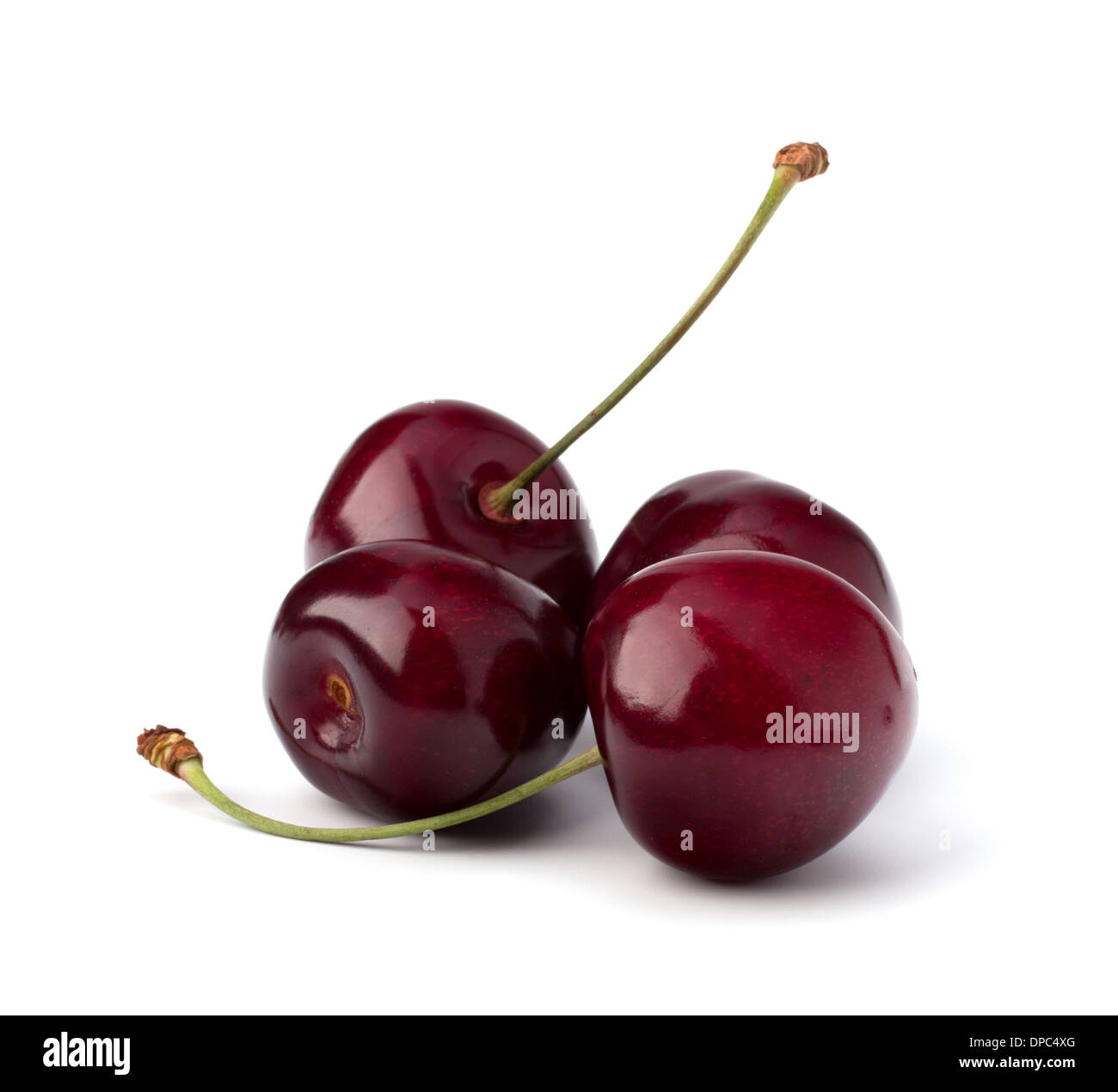 Cherry isolated on white background Stock Photo - Alamy
