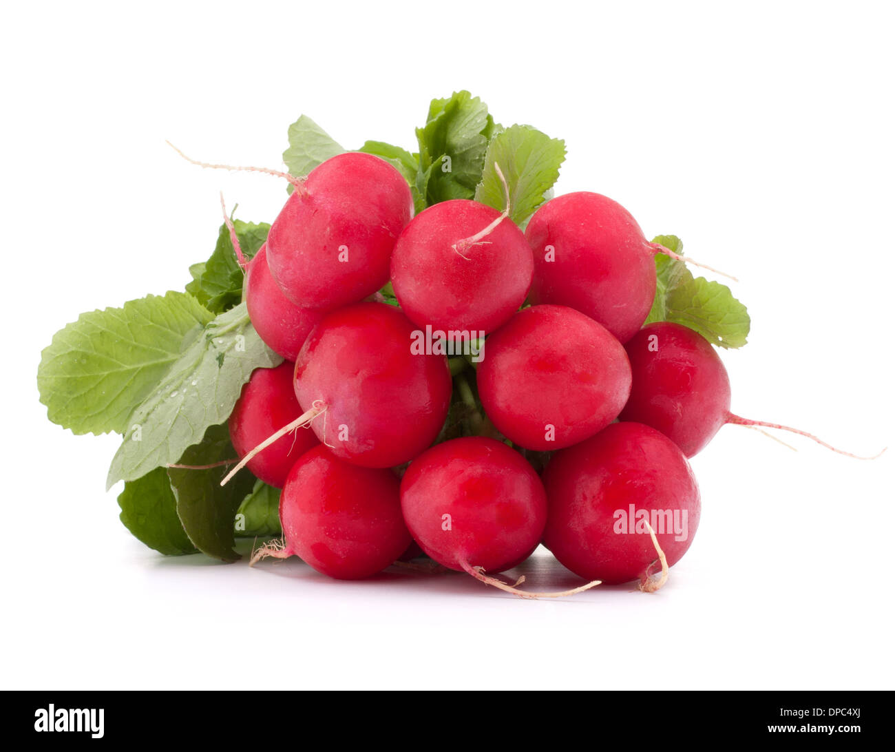 Small garden radish with leaves isolated on white background cutout ...