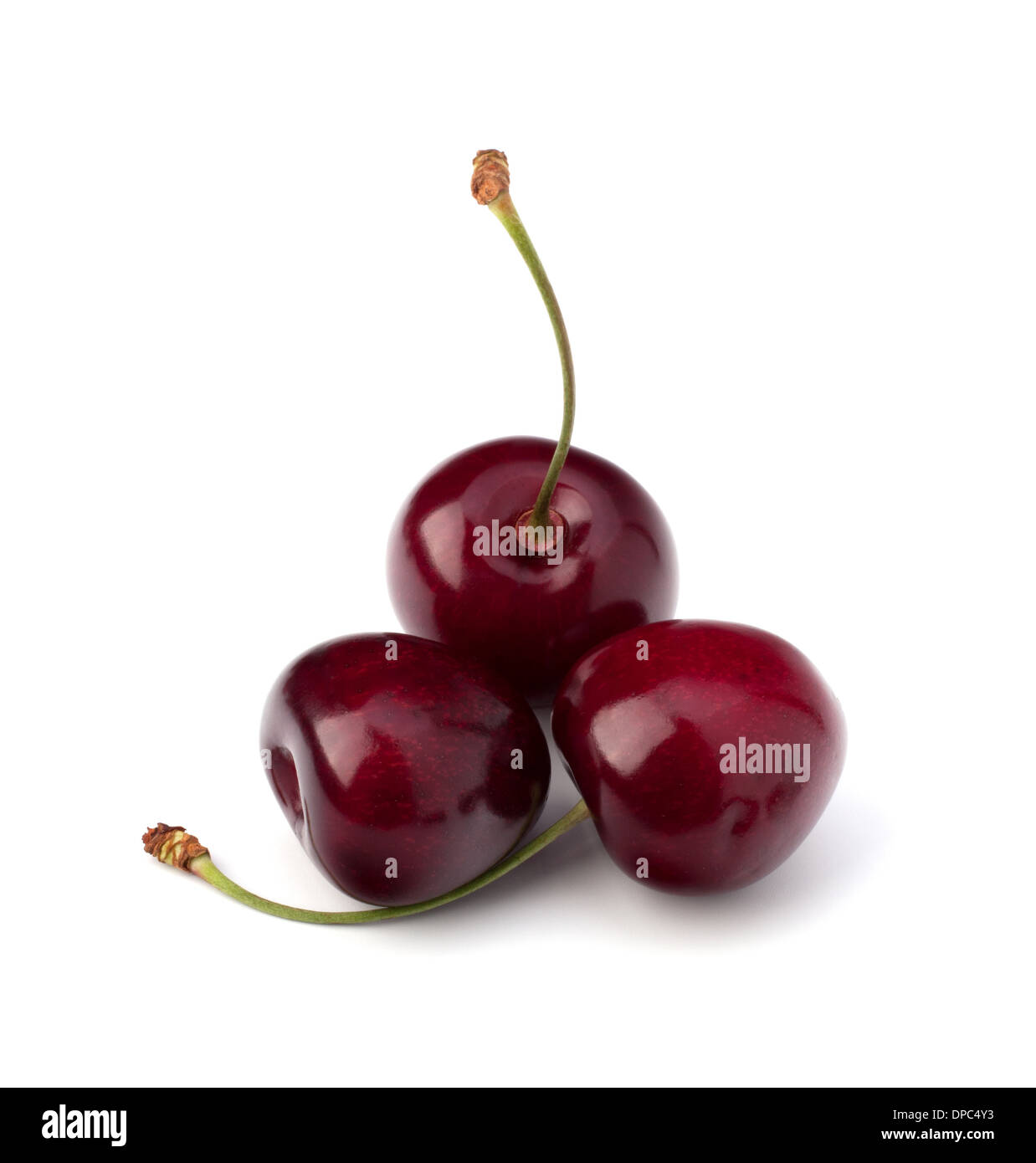 Cherry isolated on white background Stock Photo - Alamy