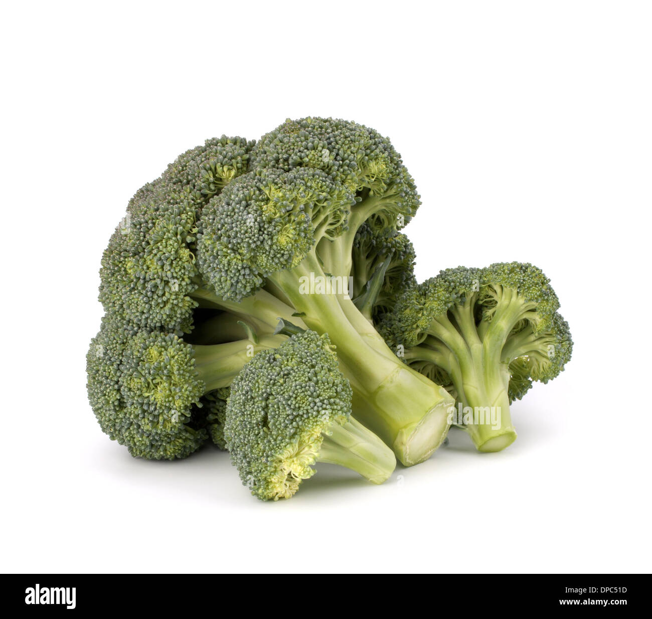 Broccoli vegetable isolated on white background Stock Photo - Alamy