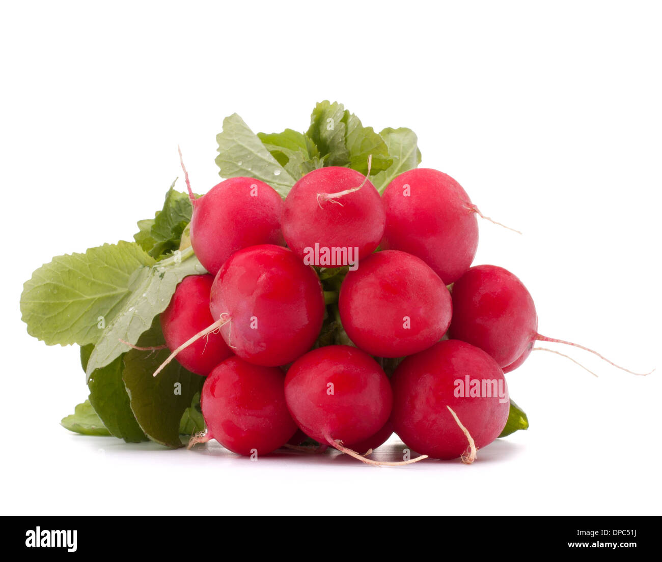 Small garden radish with leaves isolated on white background cutout ...