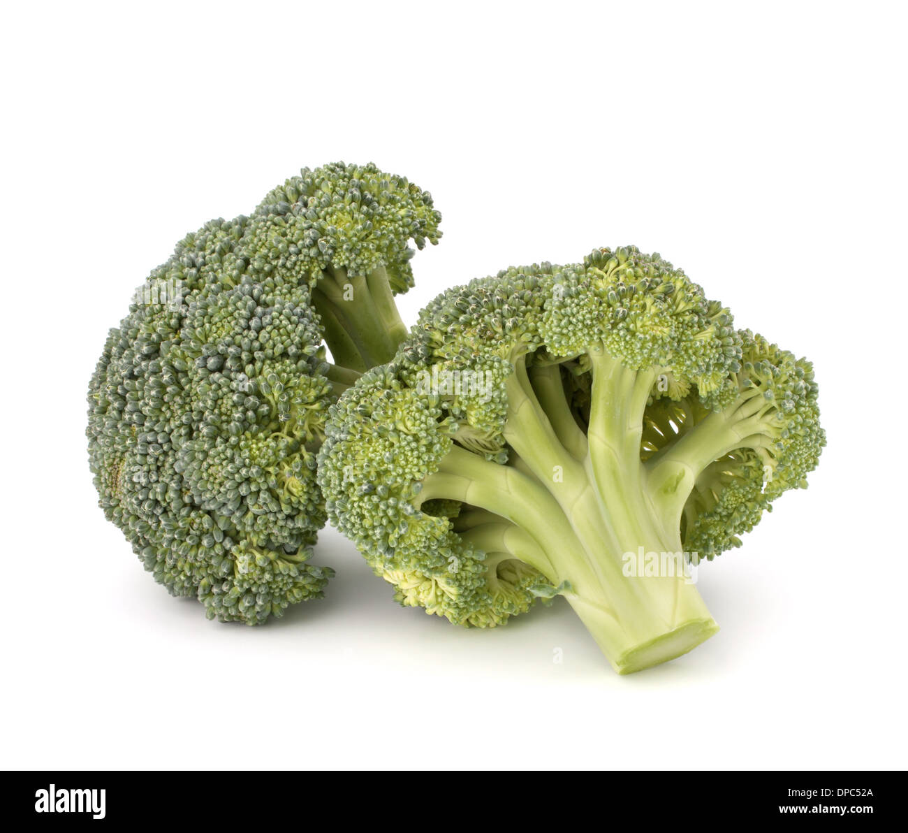 Broccoli vegetable isolated on white background Stock Photo - Alamy