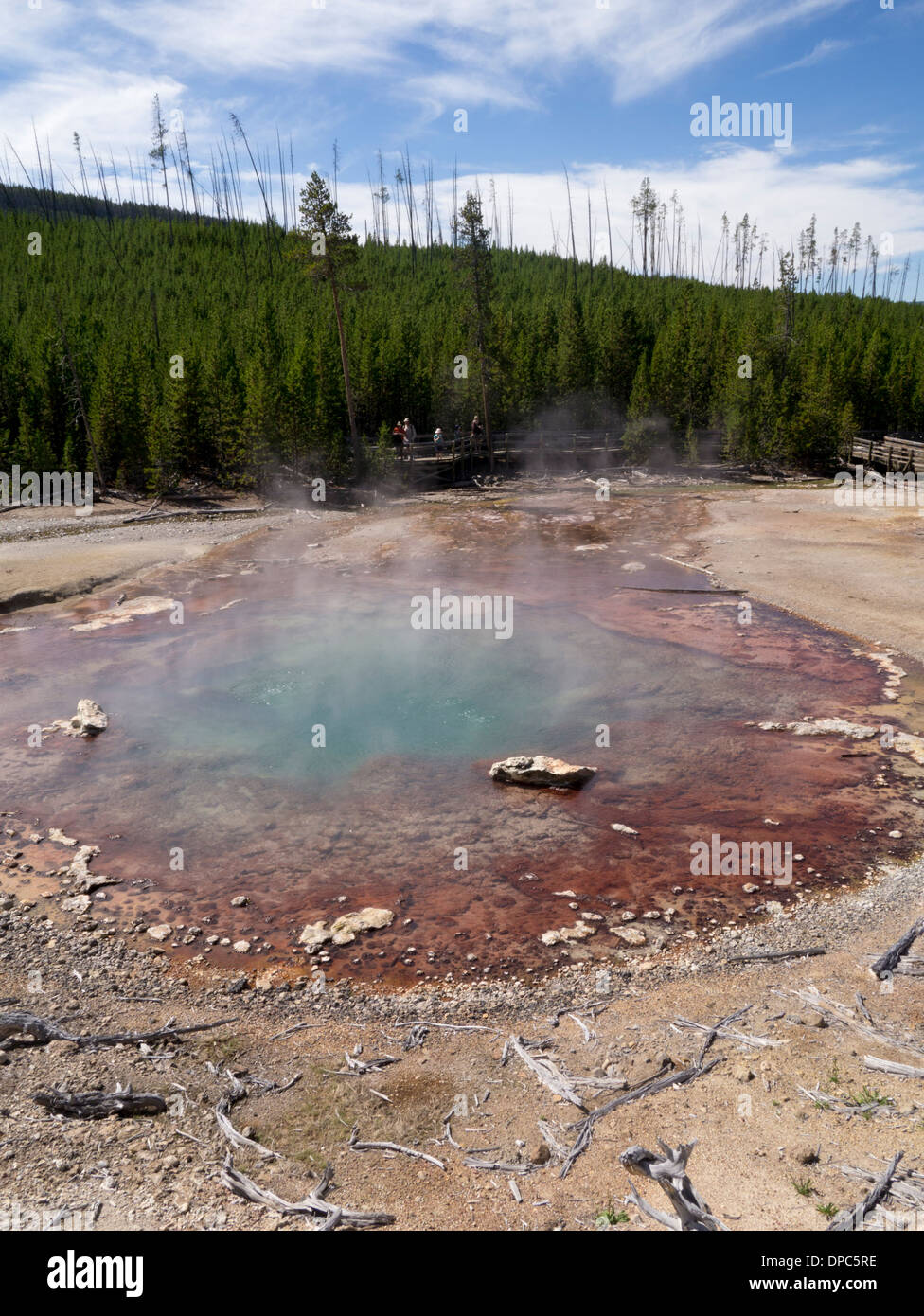Cistern spring yellowstone hi-res stock photography and images - Alamy