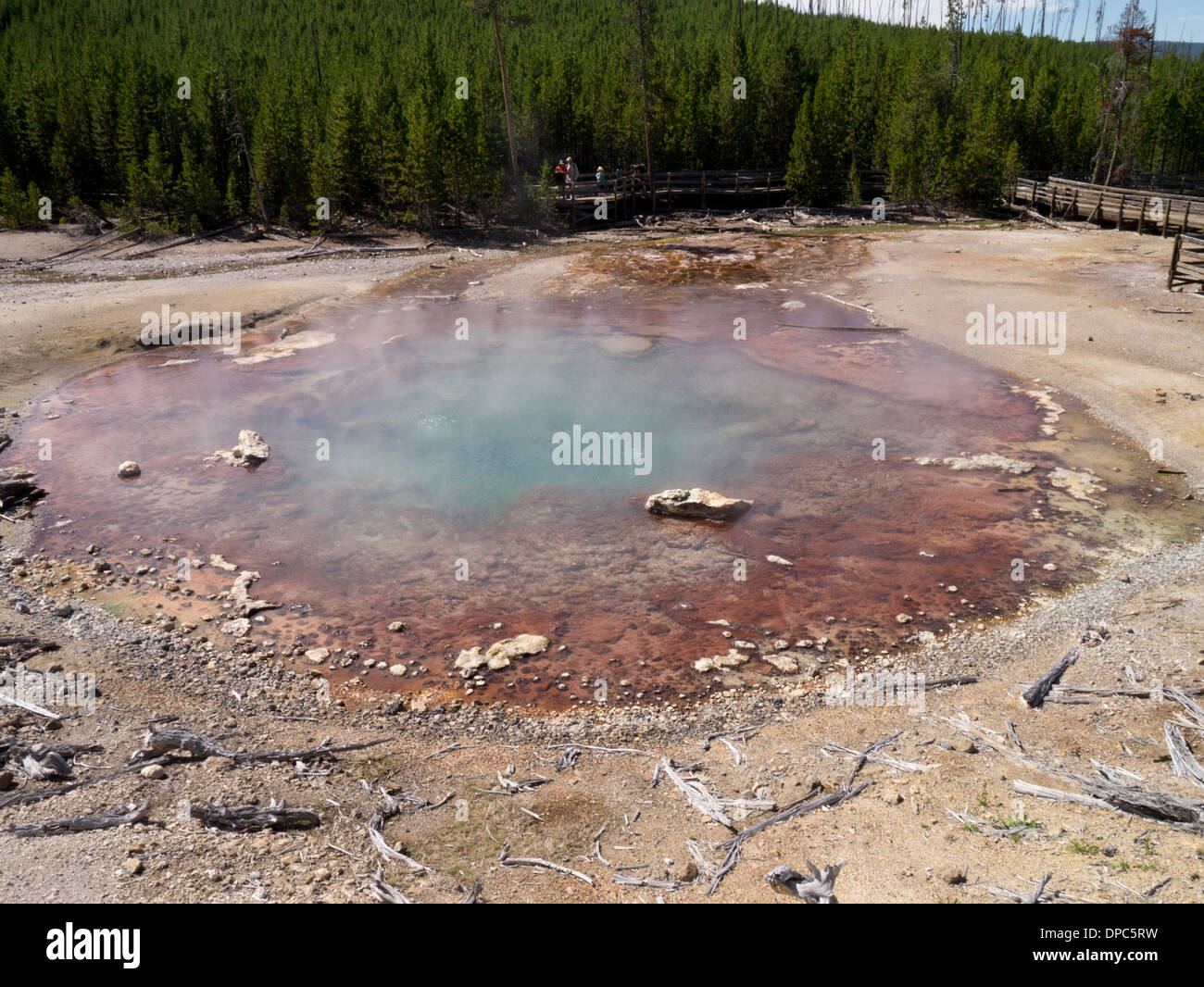 Cistern spring yellowstone hi-res stock photography and images - Alamy