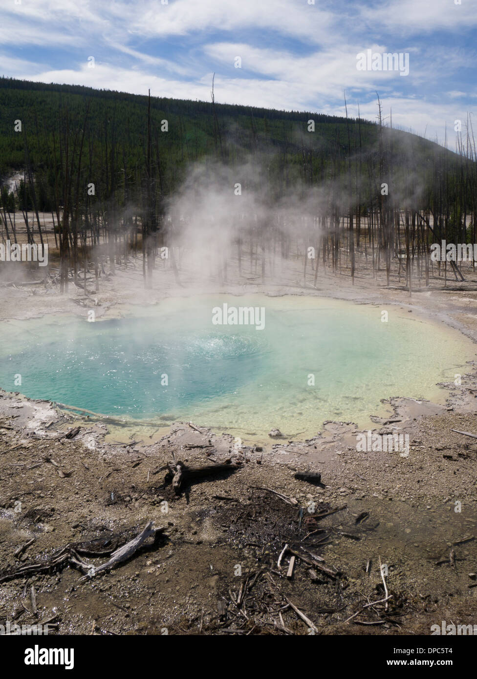 Cistern Spring in Norris Geyser Basin,Yellowstone National Park ...