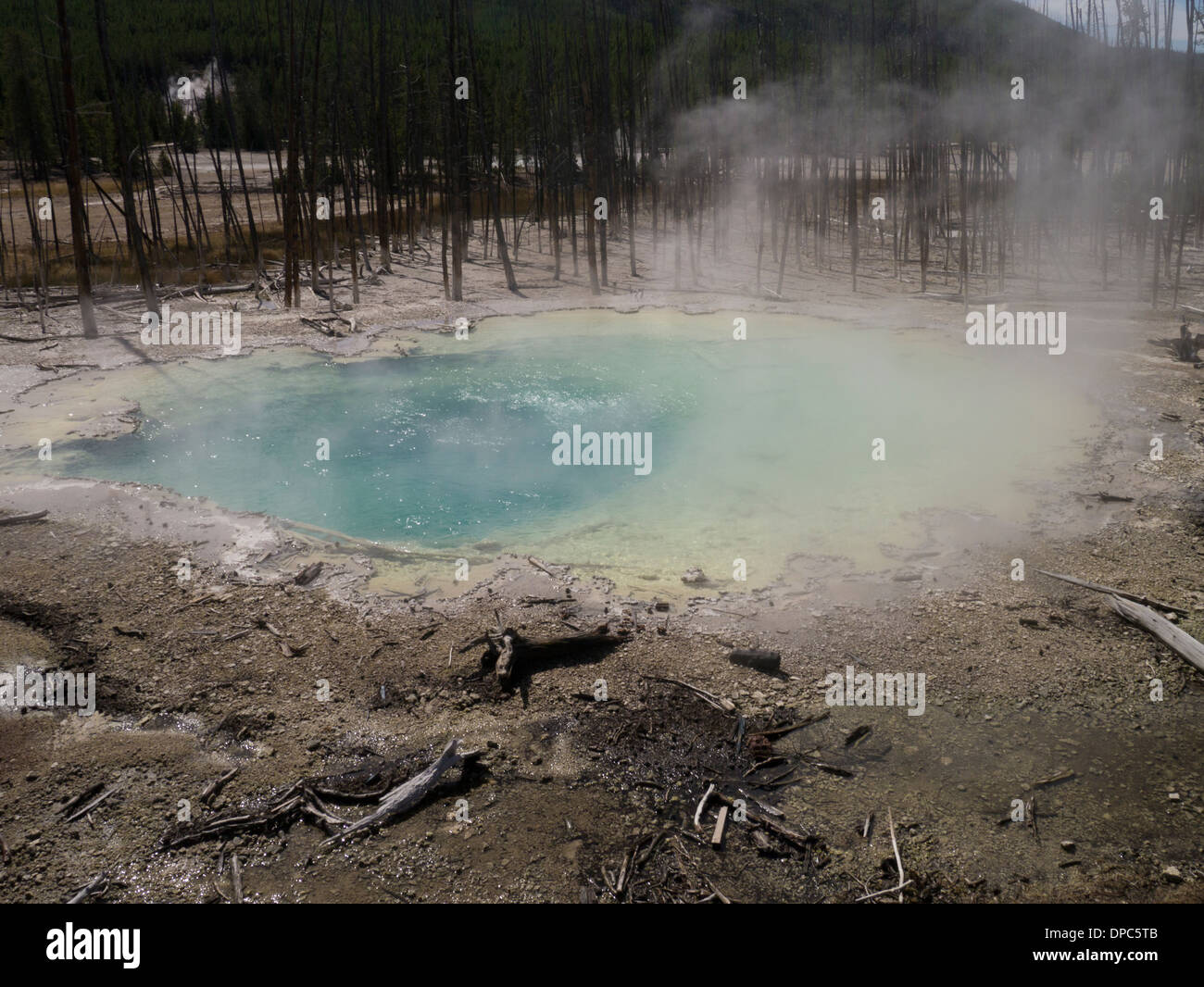 Cistern Spring in Norris Geyser Basin,Yellowstone National Park ...