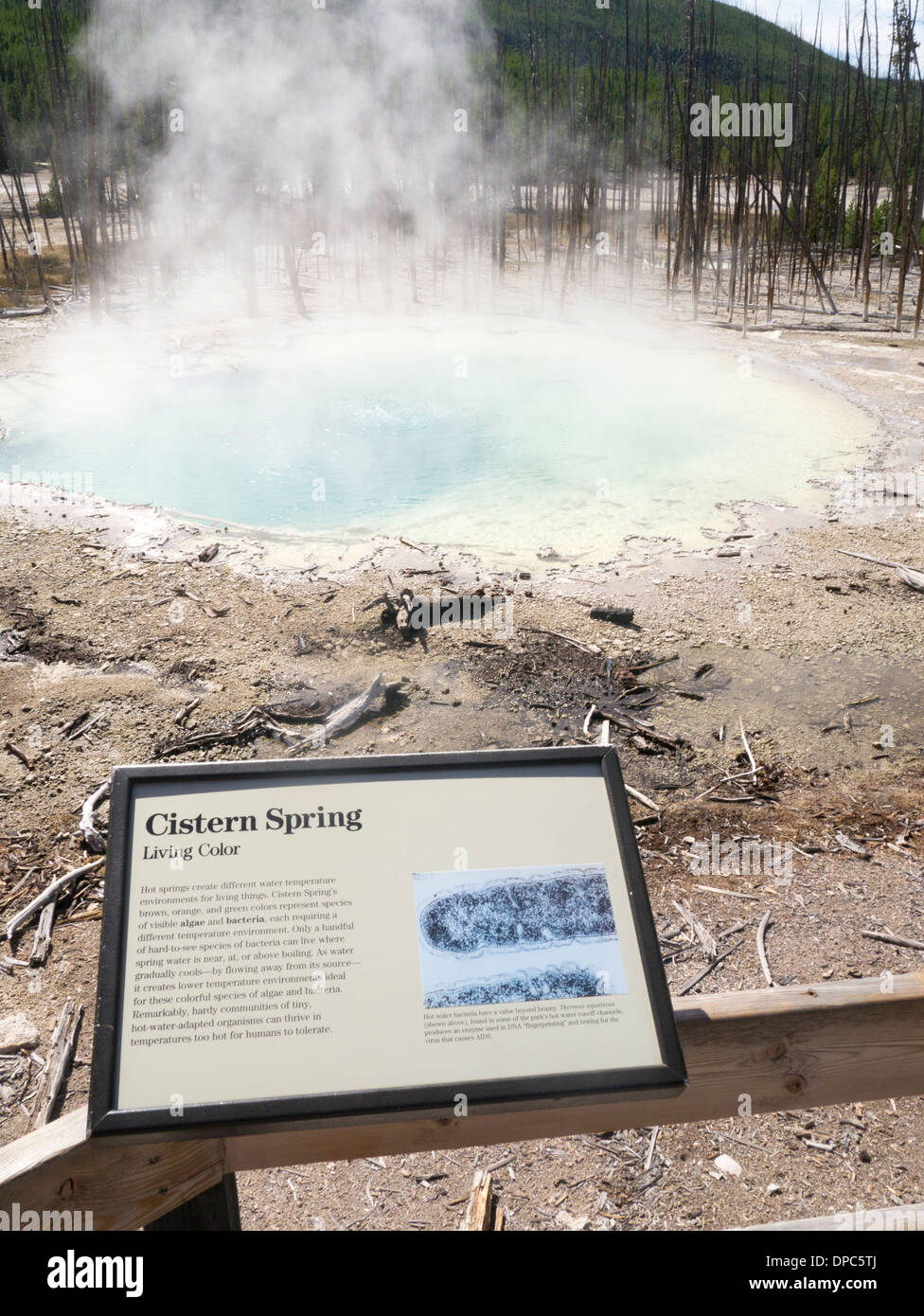 Cistern spring yellowstone hi-res stock photography and images - Alamy