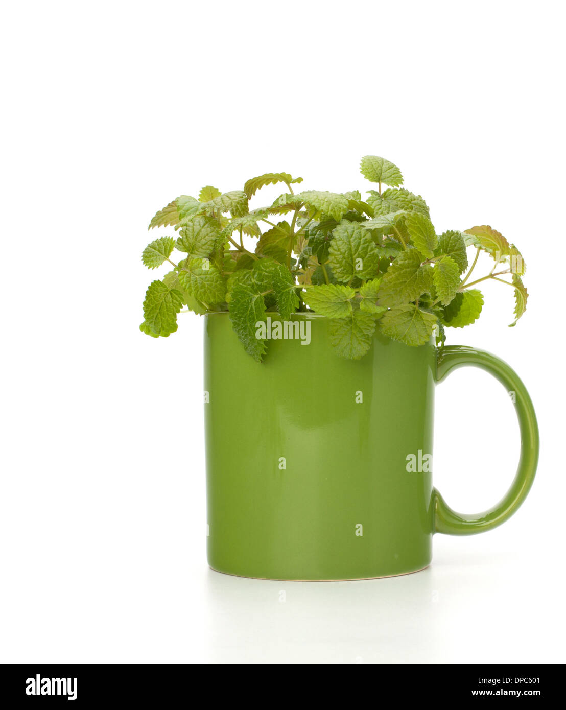 Herbal peppermint tea cup isolated on white background. Alternative ...