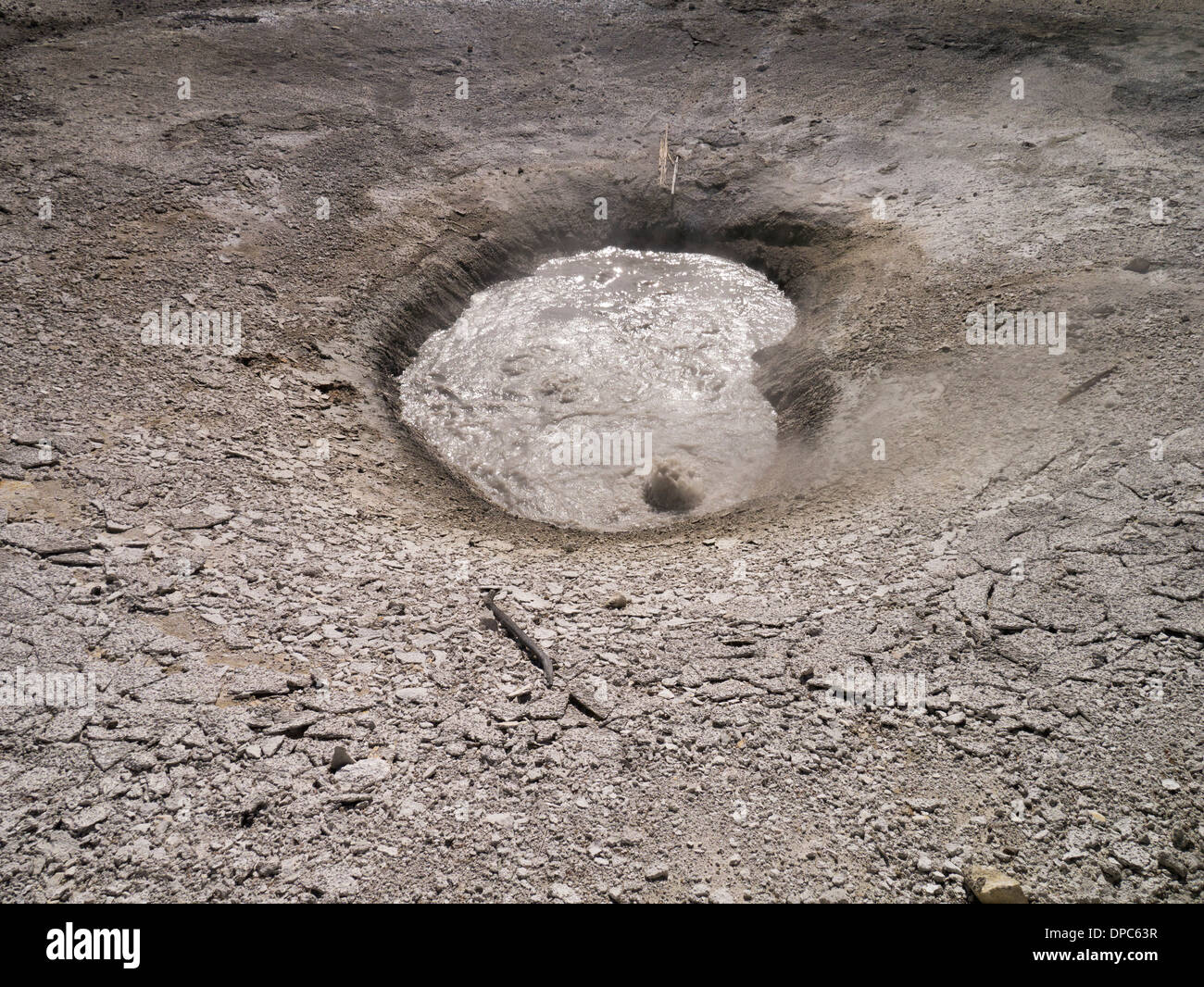 Mud geyser in Norris Geyser Basin,Yellowstone National Park, Wyoming ...