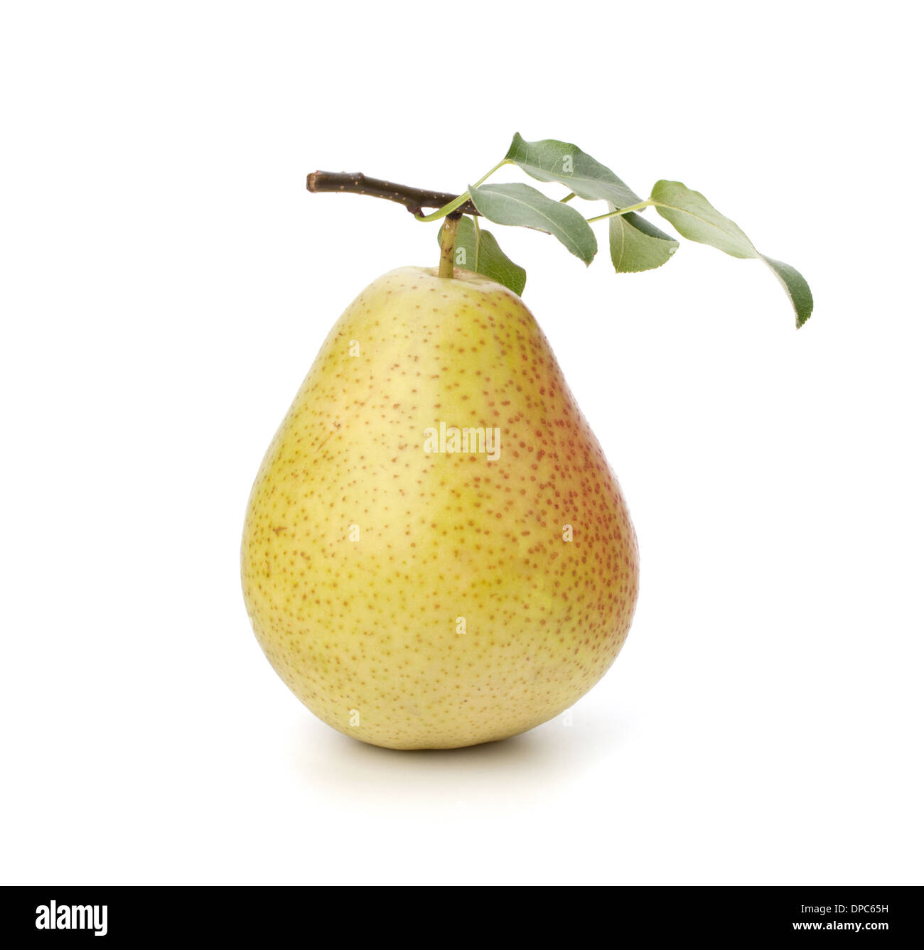 Pear isolated on white background Stock Photo - Alamy