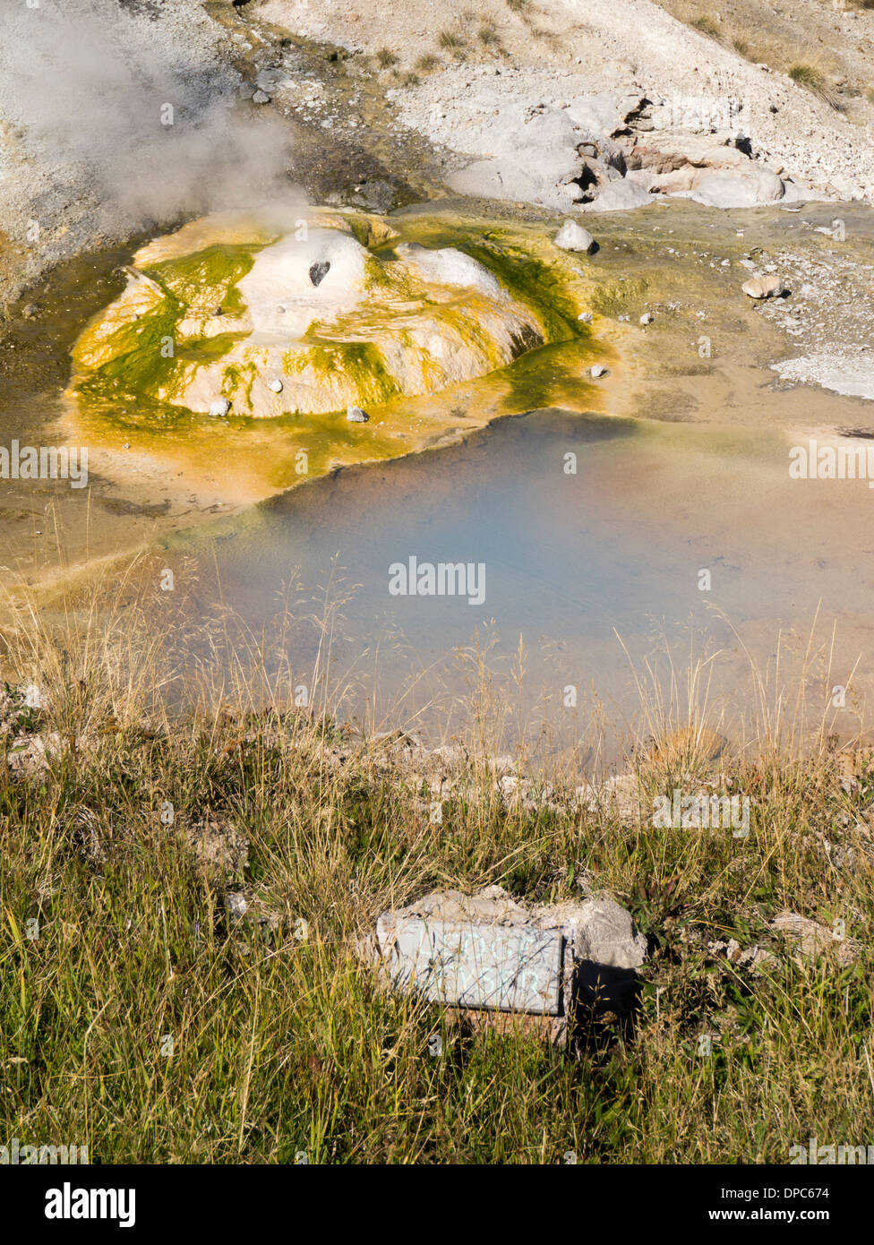 Ledge Geyser in Norris Geyser Basin,Yellowstone National Park, Wyoming ...