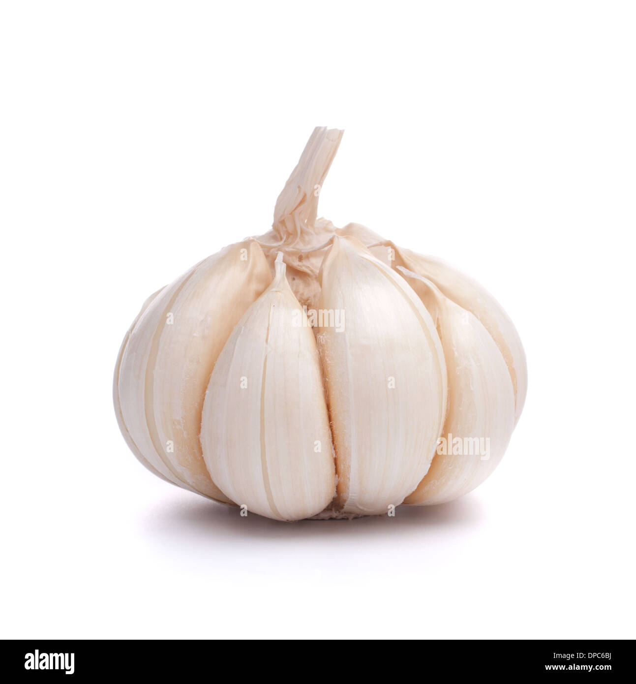 garlic bulb isolated on white background cutout Stock Photo - Alamy
