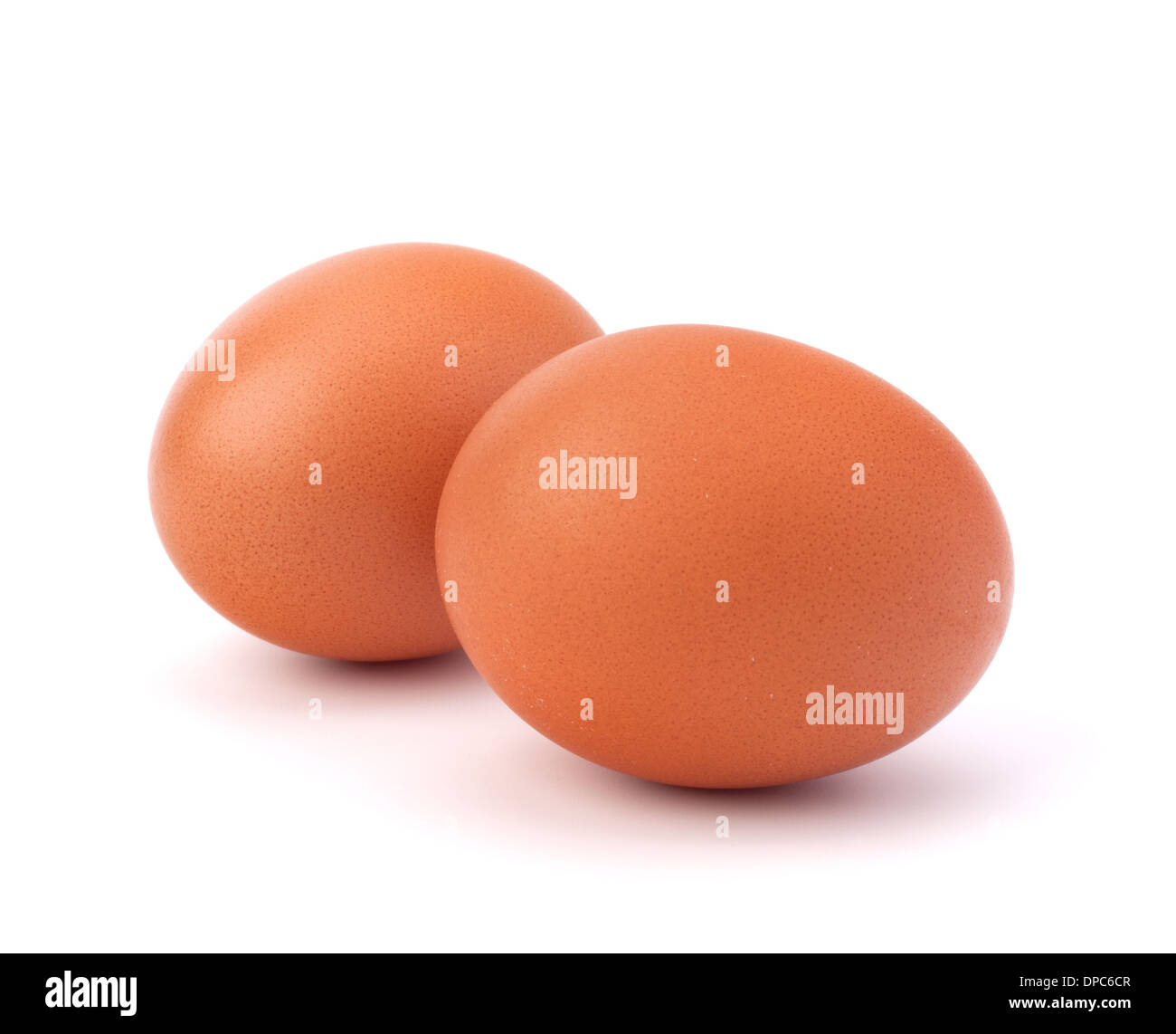 two eggs isolated on white background Stock Photo - Alamy