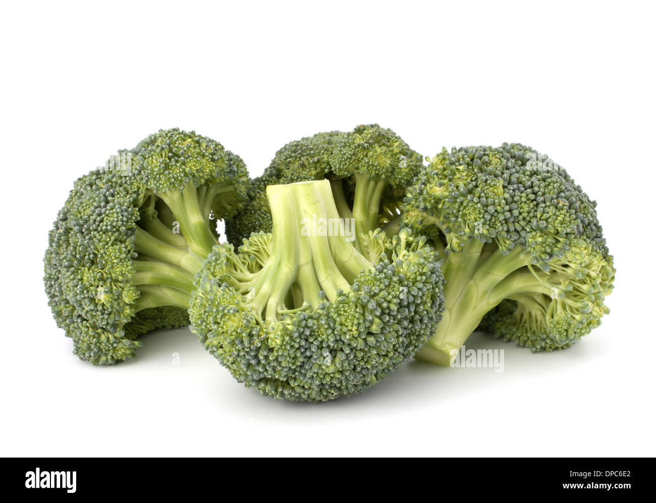 Broccoli vegetable isolated on white background Stock Photo - Alamy
