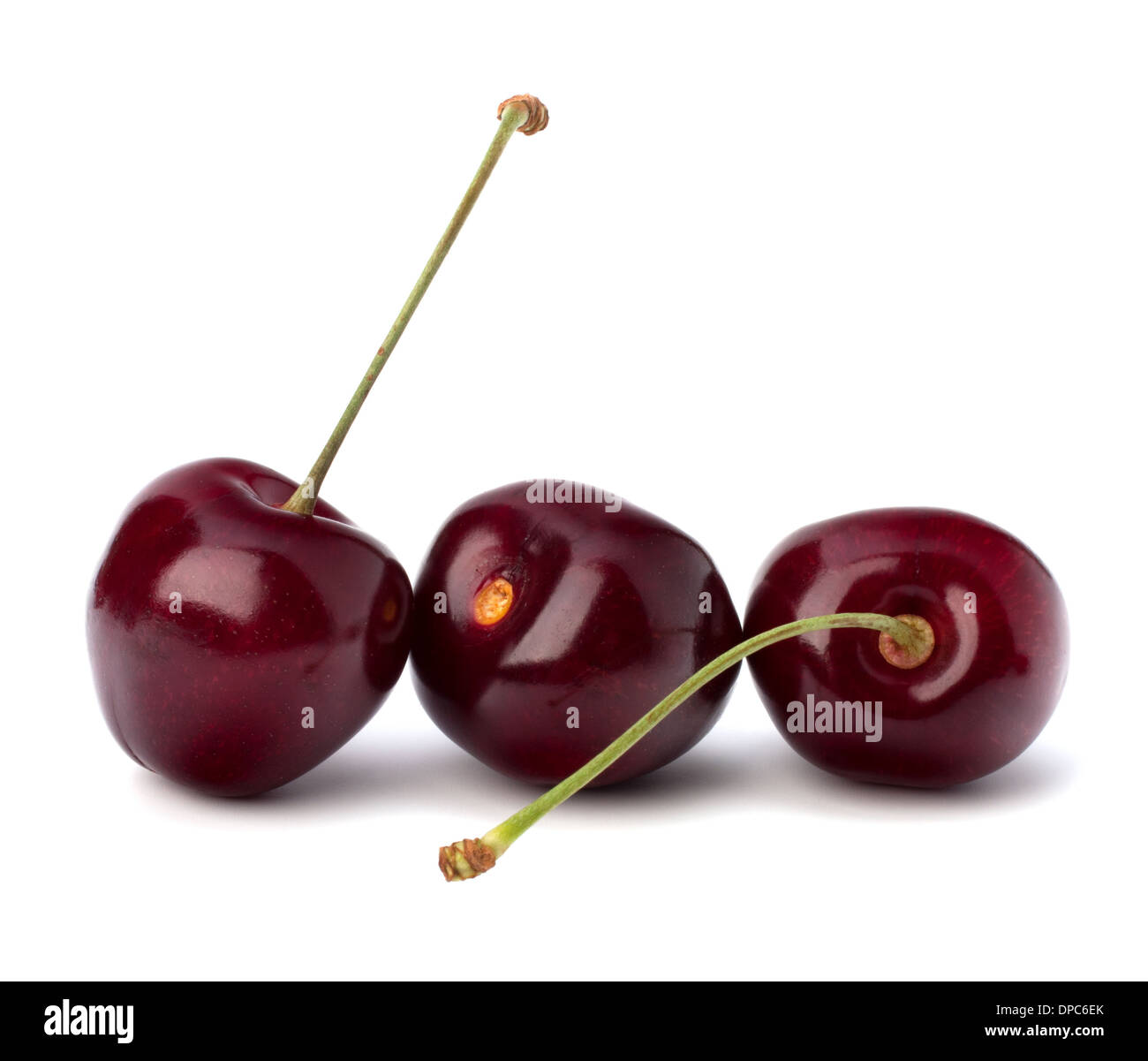 Cherry isolated on white background Stock Photo - Alamy