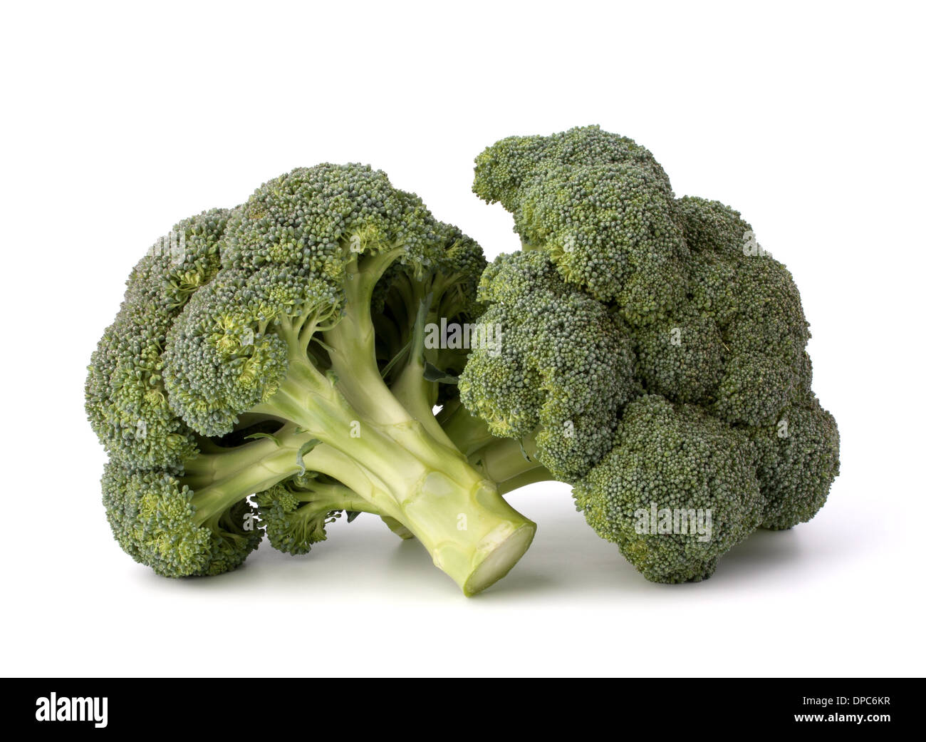 Broccoli vegetable isolated on white background Stock Photo - Alamy
