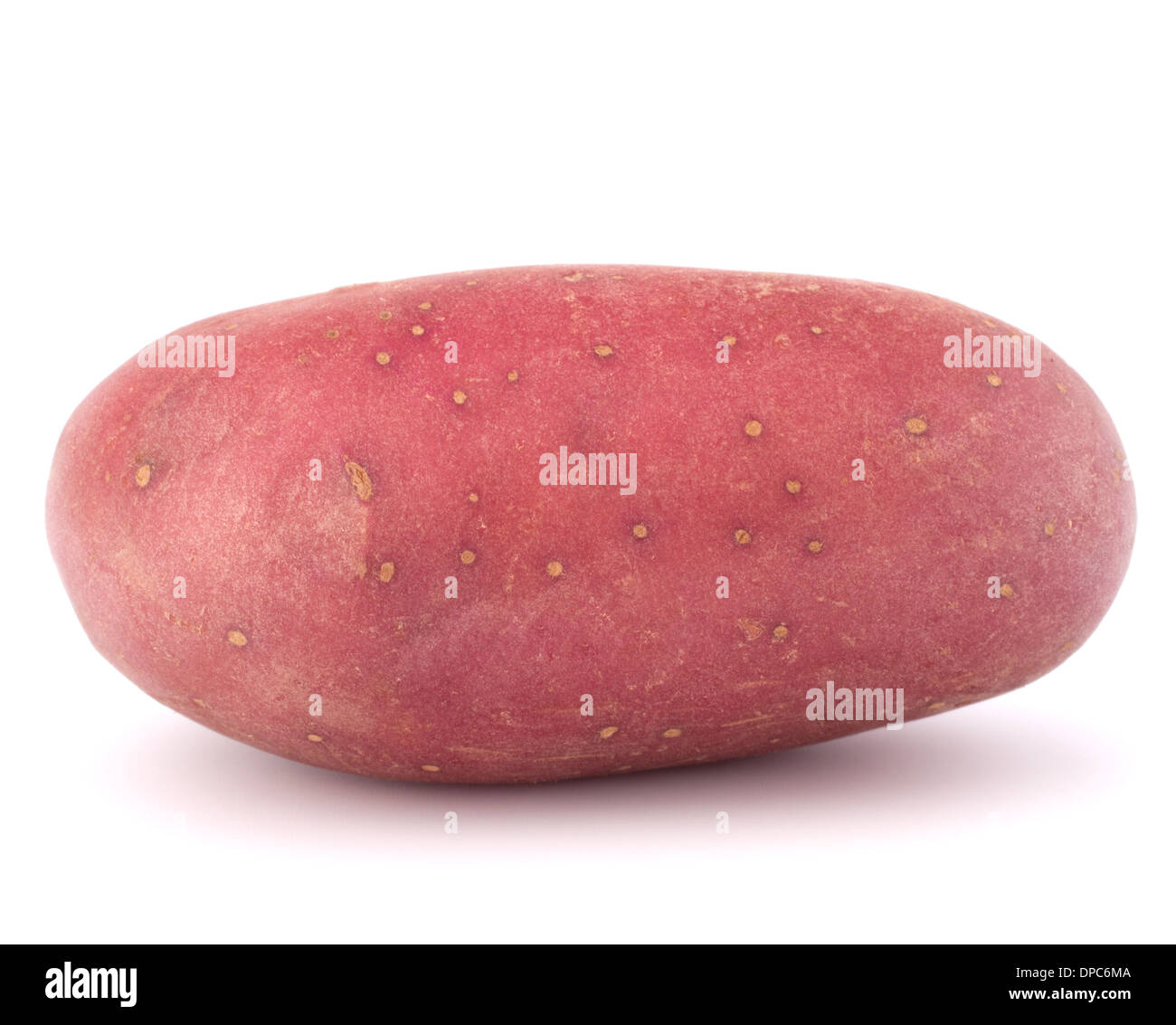 New potato tuber isolated on white background cutout Stock Photo - Alamy