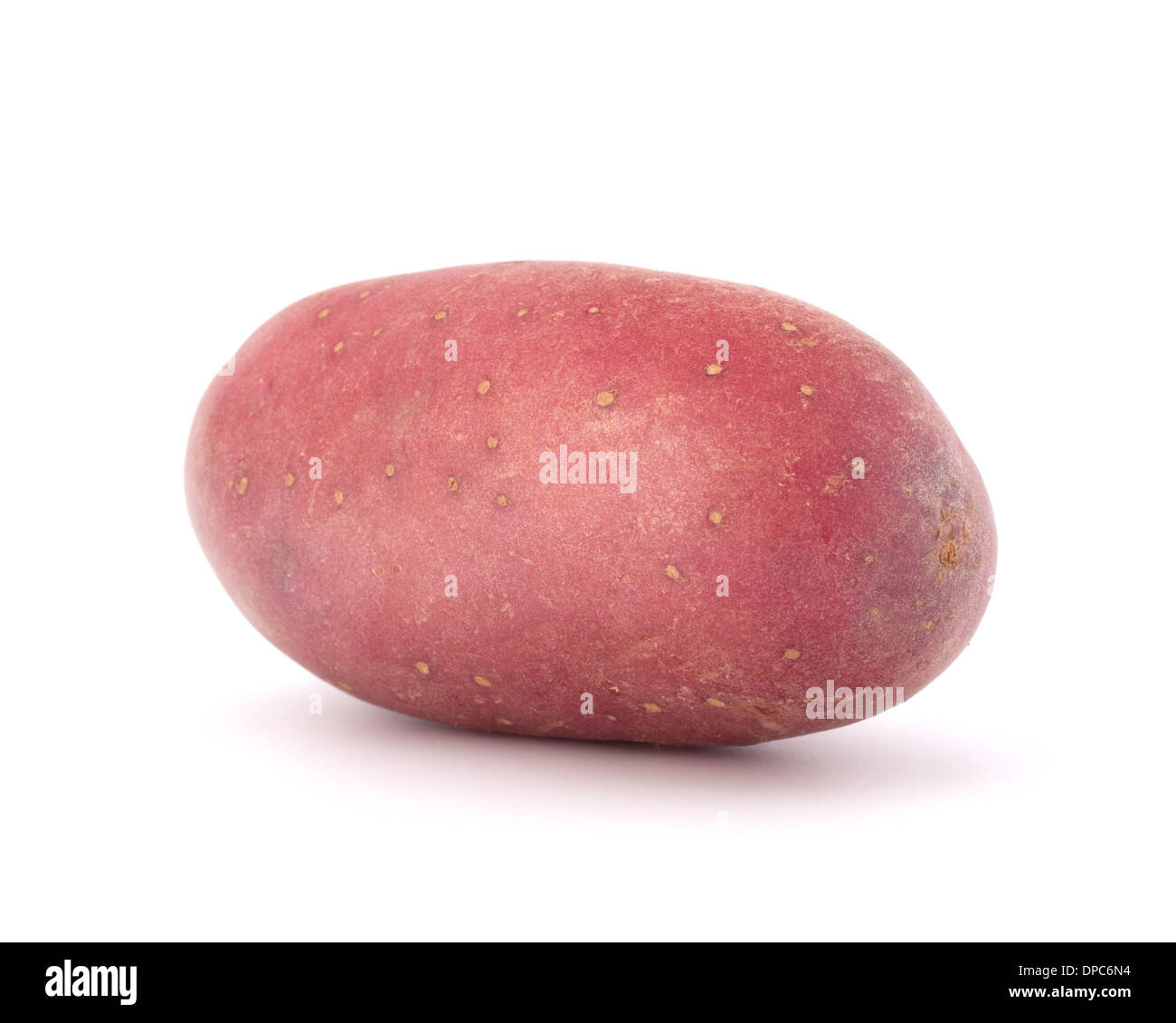 New potato tuber isolated on white background cutout Stock Photo - Alamy