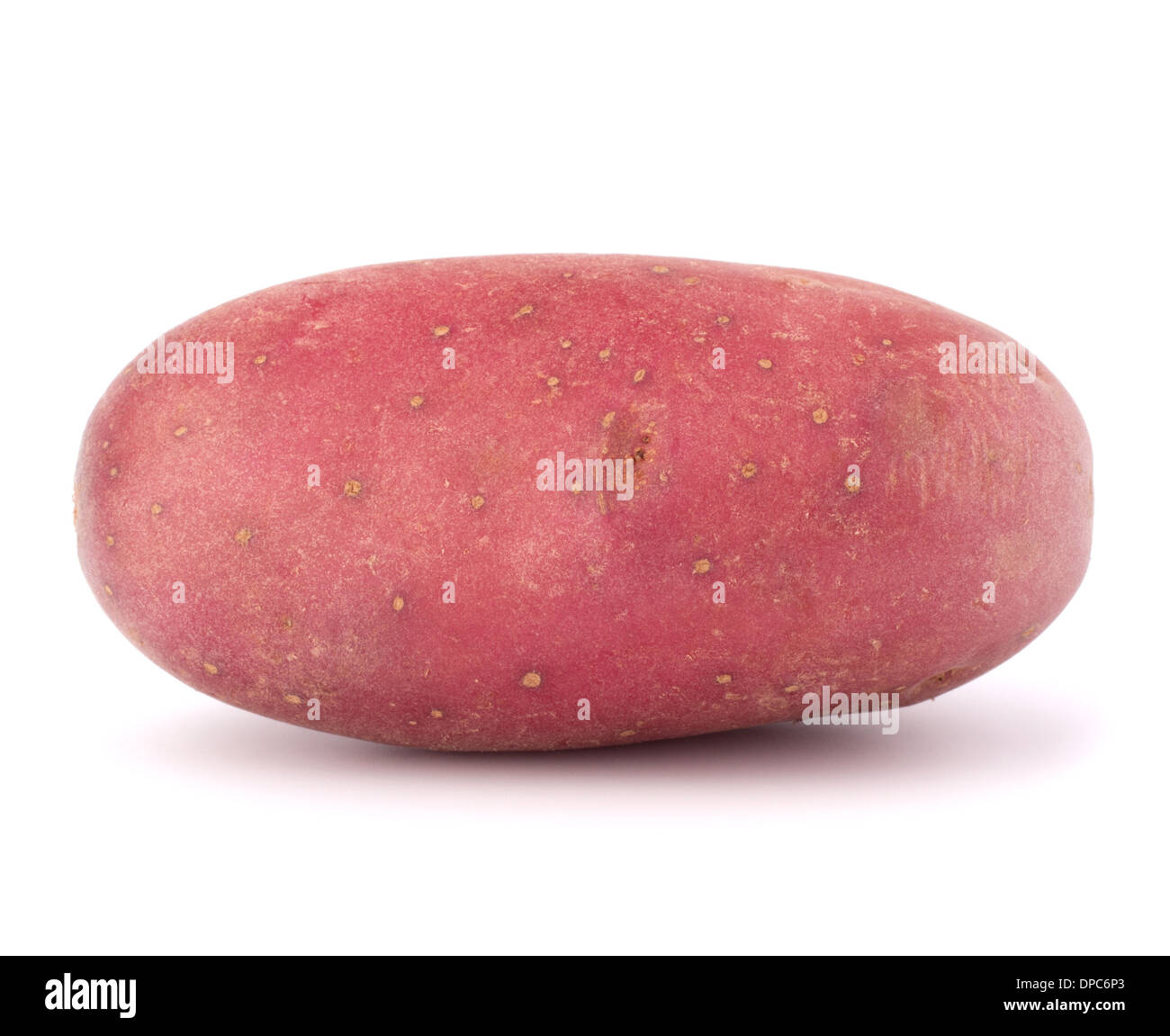 New potato tuber isolated on white background cutout Stock Photo - Alamy
