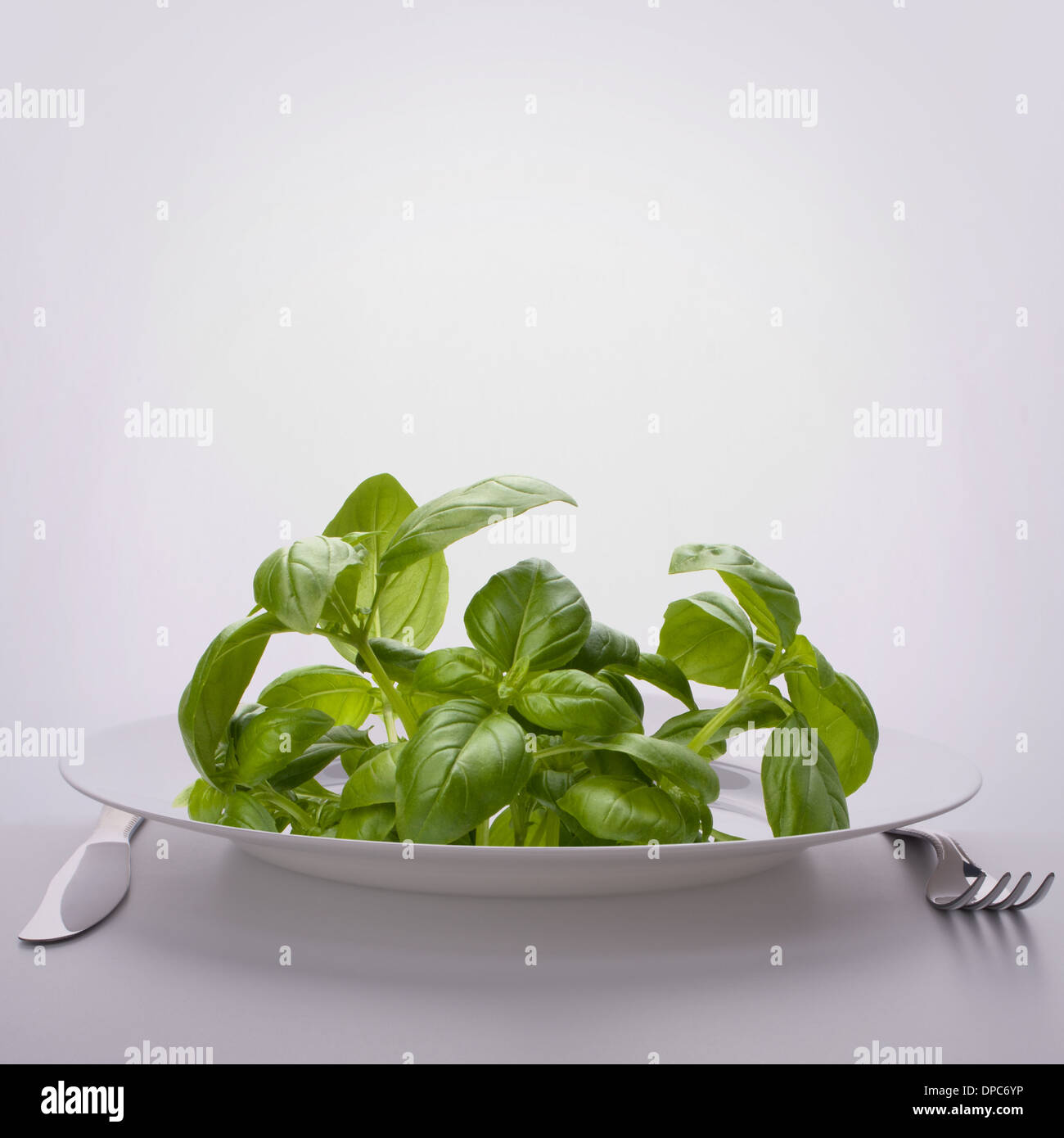 Sweet basil leaves on plate. Raw food diet concept Stock Photo - Alamy