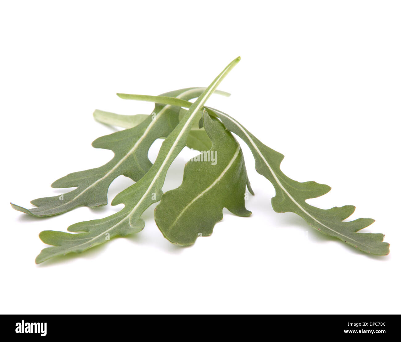 Sweet rucola salad or rocket lettuce leaves isolated on white ...