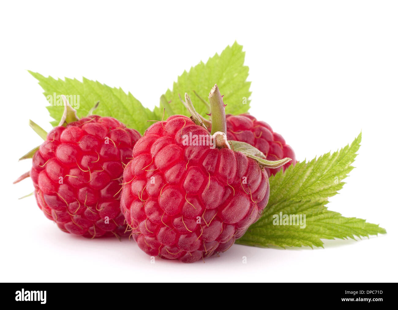 Ripe raspberries isolated on white background cutout Stock Photo - Alamy