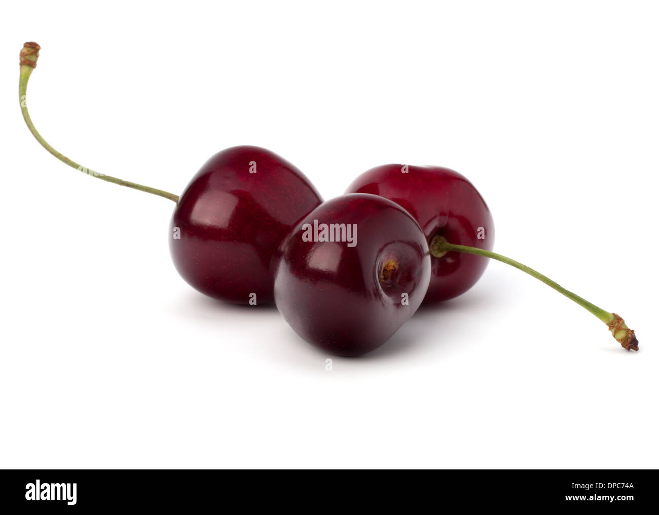 Cherry isolated on white background Stock Photo - Alamy