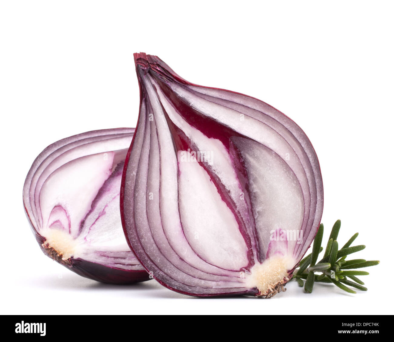 red onion and rosemary leaves still life isolated on white background ...