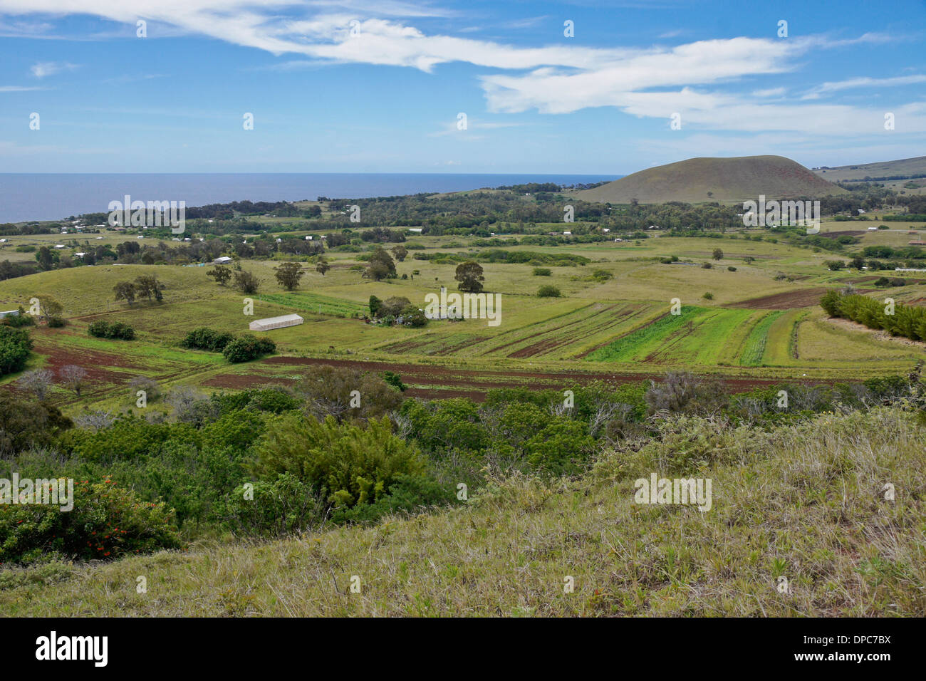 Puna pau chile hi-res stock photography and images - Alamy