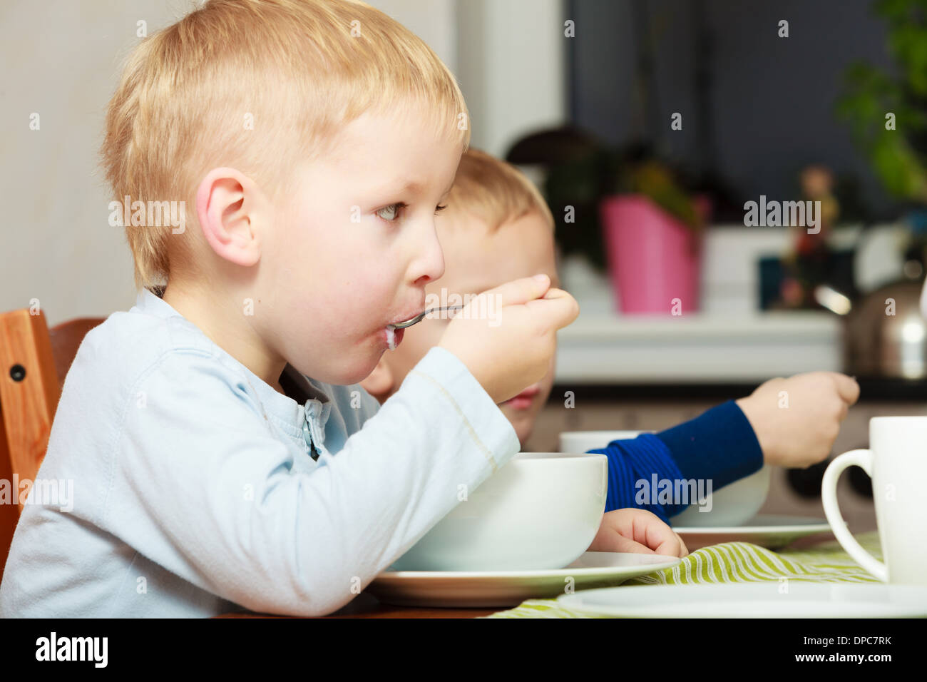 Two blond brothers boys kids children eating corn flakes breakfast ...