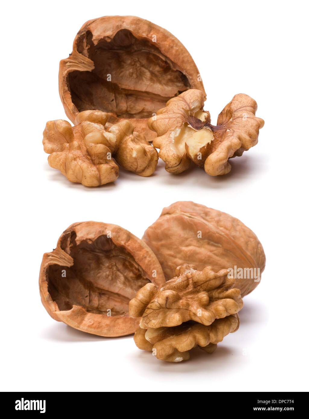 Circassian walnut isolated on white background Stock Photo - Alamy
