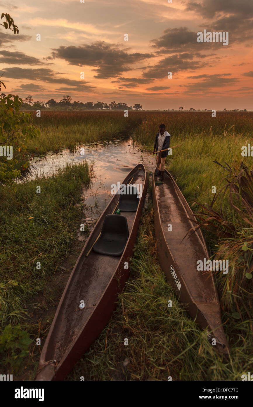 Makoro okavanga hi-res stock photography and images - Alamy
