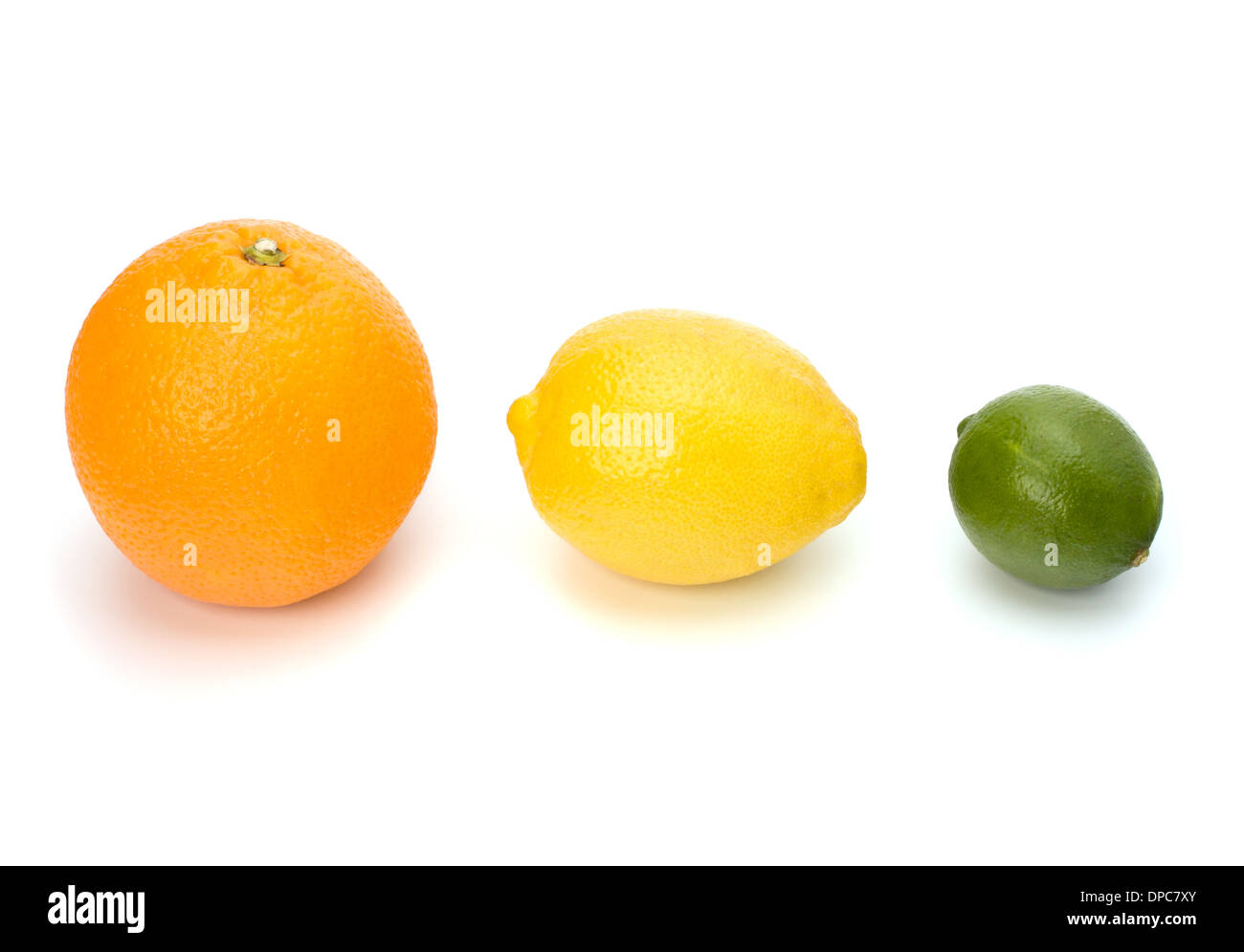 Citrus fruits isolated on white background Stock Photo - Alamy