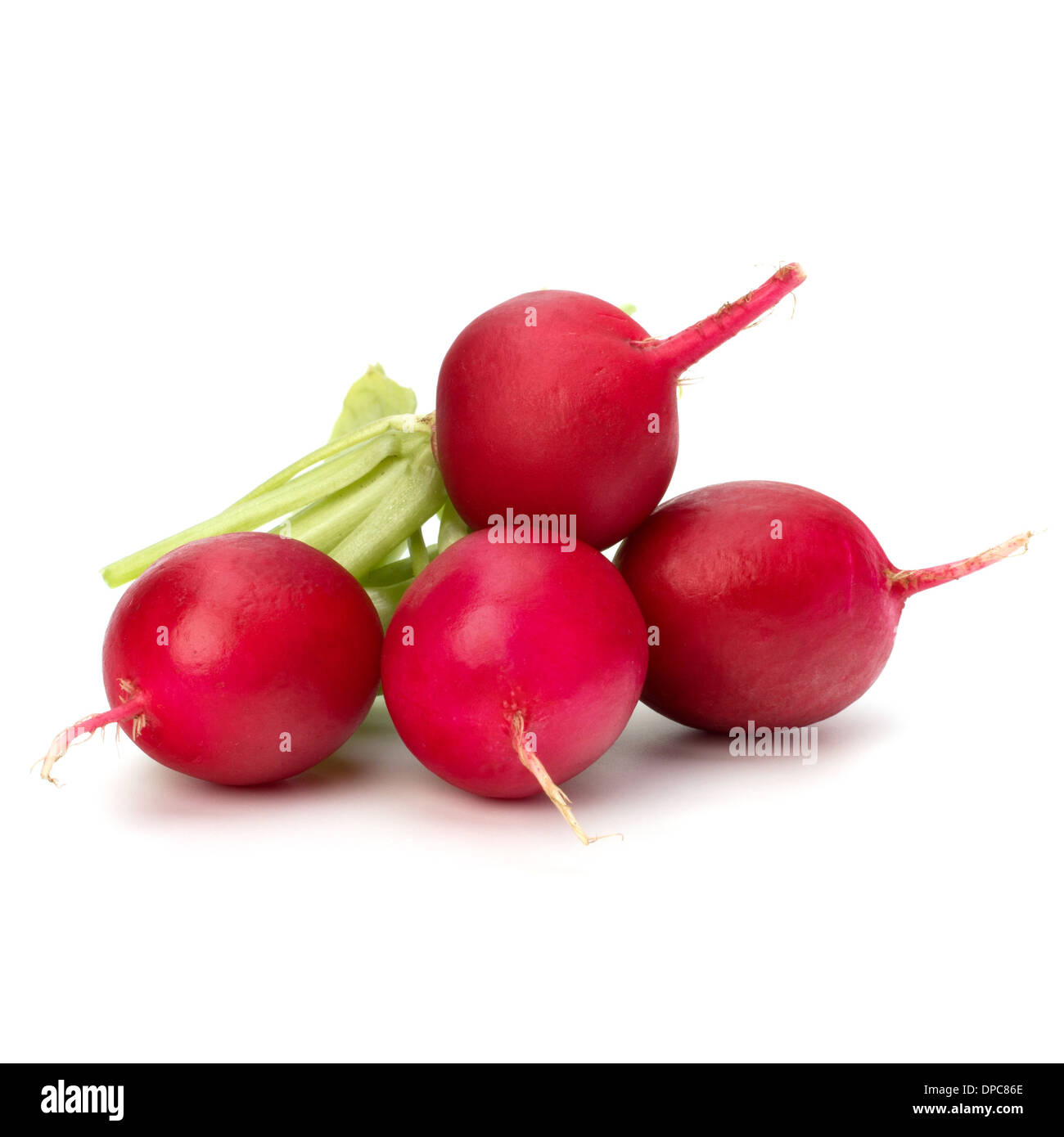 Small garden radish isolated on white background Stock Photo - Alamy