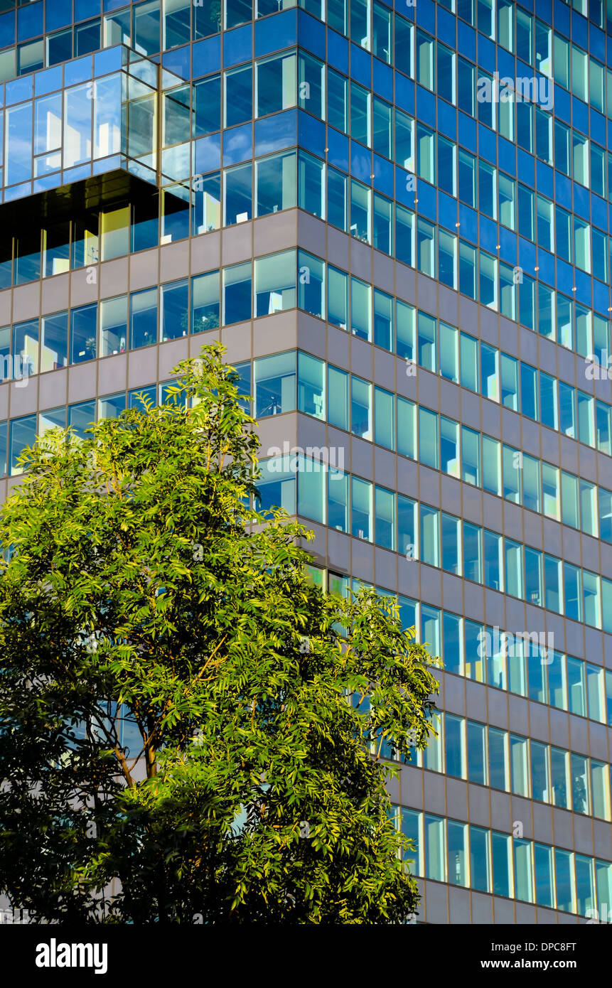 Modern Office Building With Tree Stock Photo - Alamy
