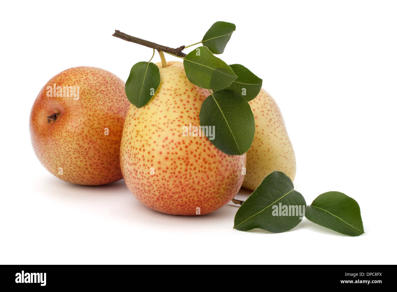 Pear fruits isolated on white background Stock Photo - Alamy