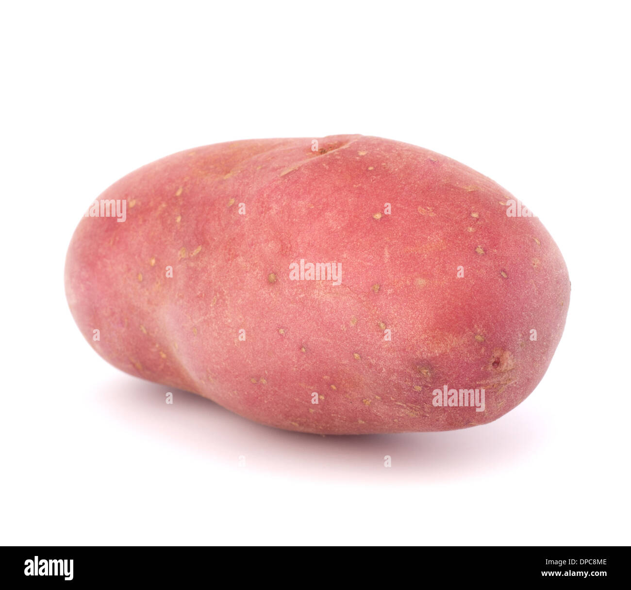 New potato tuber isolated on white background cutout Stock Photo - Alamy