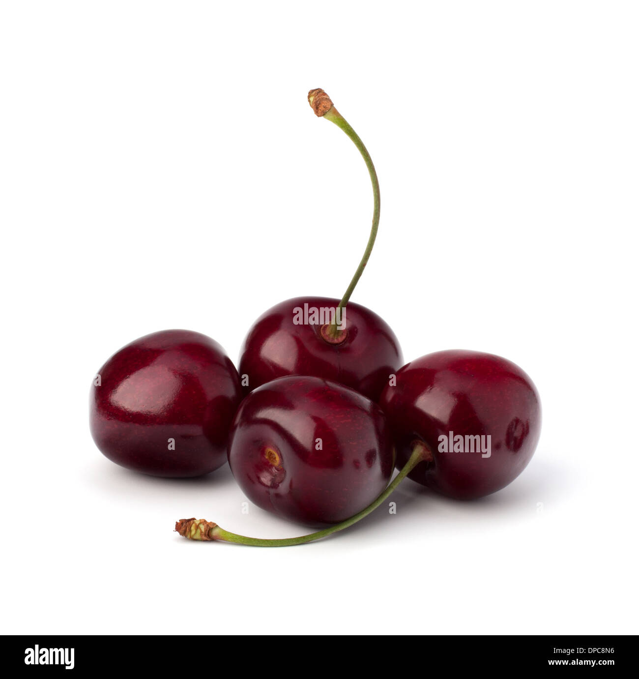 Cherry isolated on white background Stock Photo - Alamy