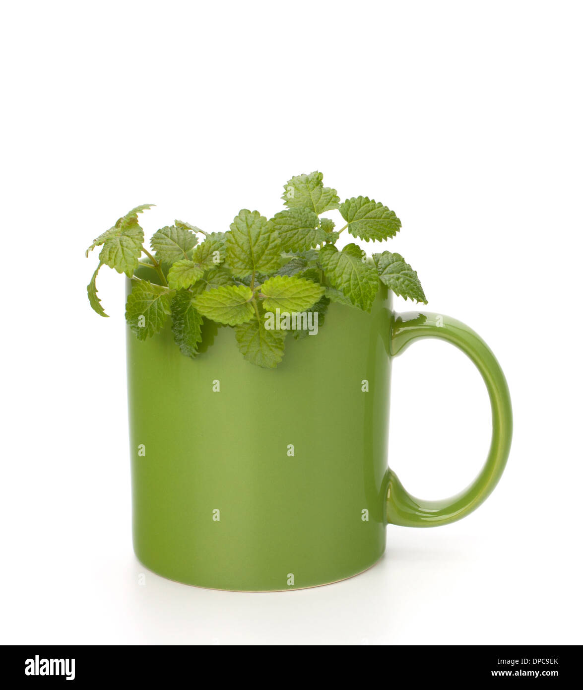 Herbal peppermint tea cup isolated on white background. Alternative ...