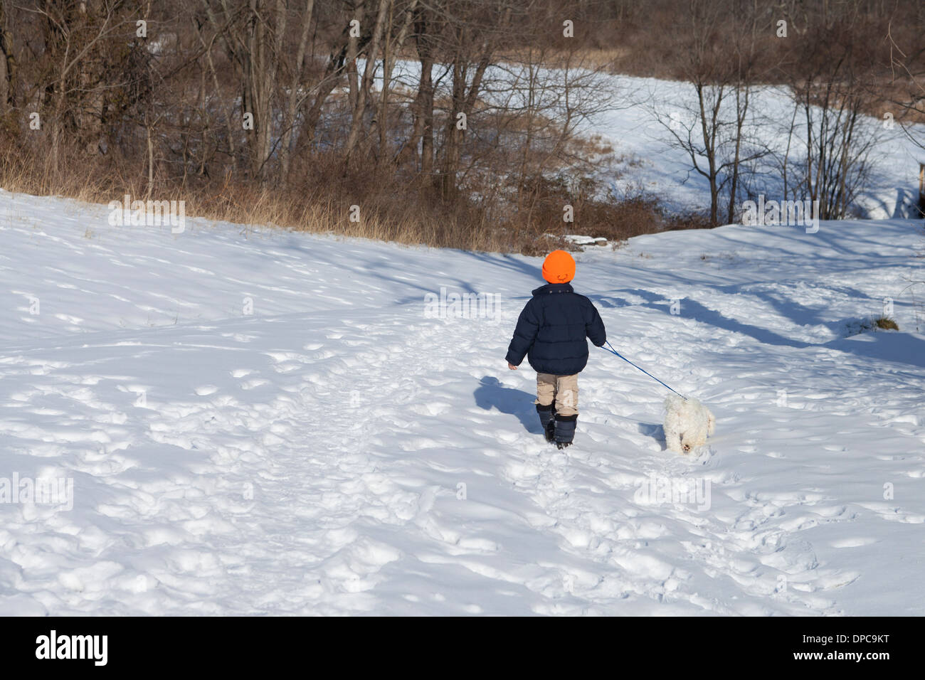 Boy walking dog hi-res stock photography and images - Alamy