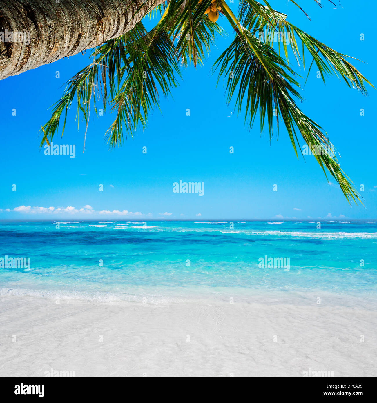 Beach shore tropical hi-res stock photography and images - Alamy