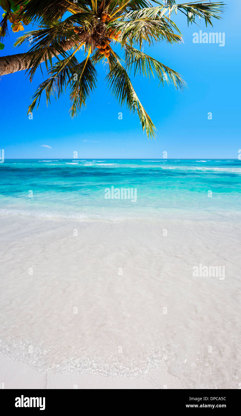 Tropical beach. Vertical composition Stock Photo - Alamy